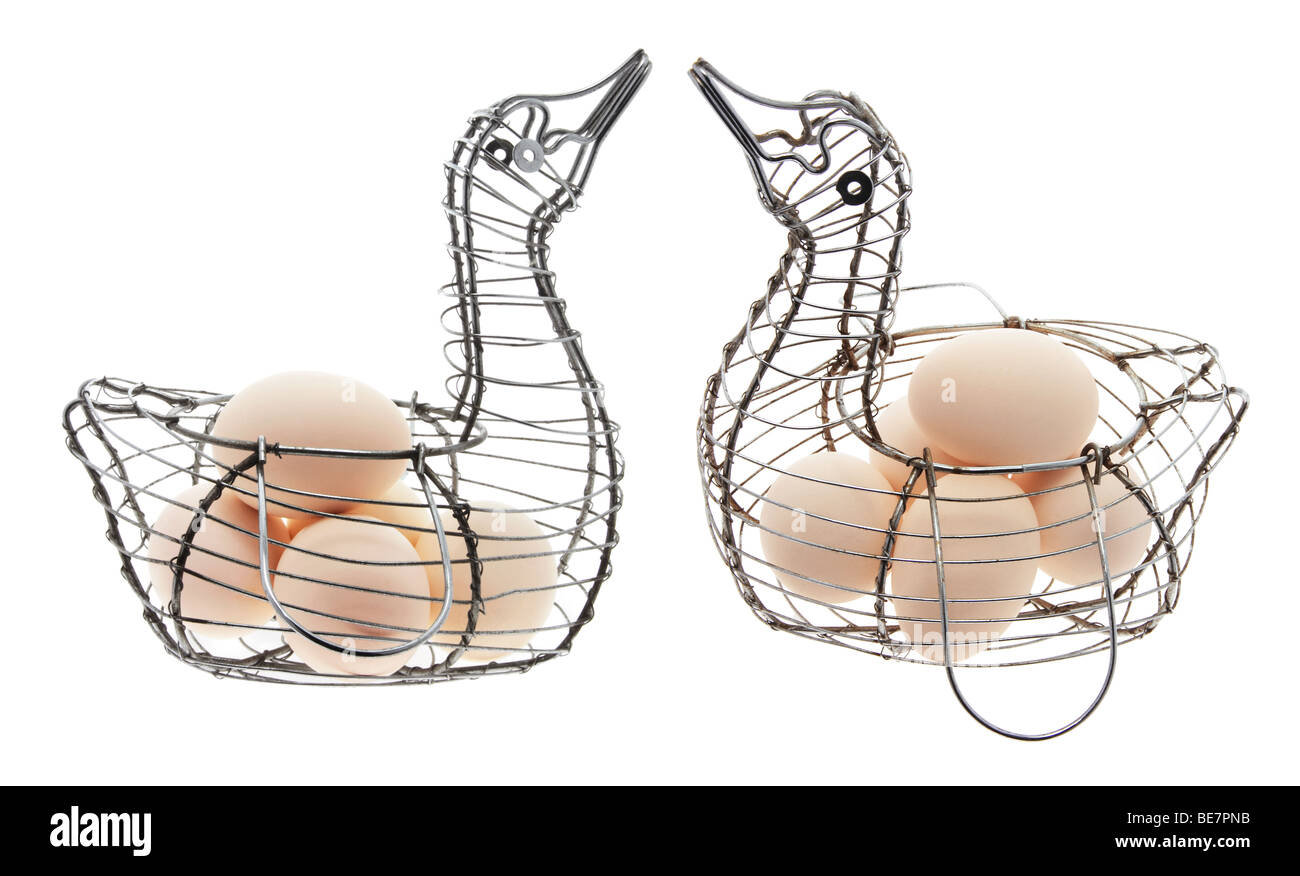 Wire duck hi-res stock photography and images - Alamy