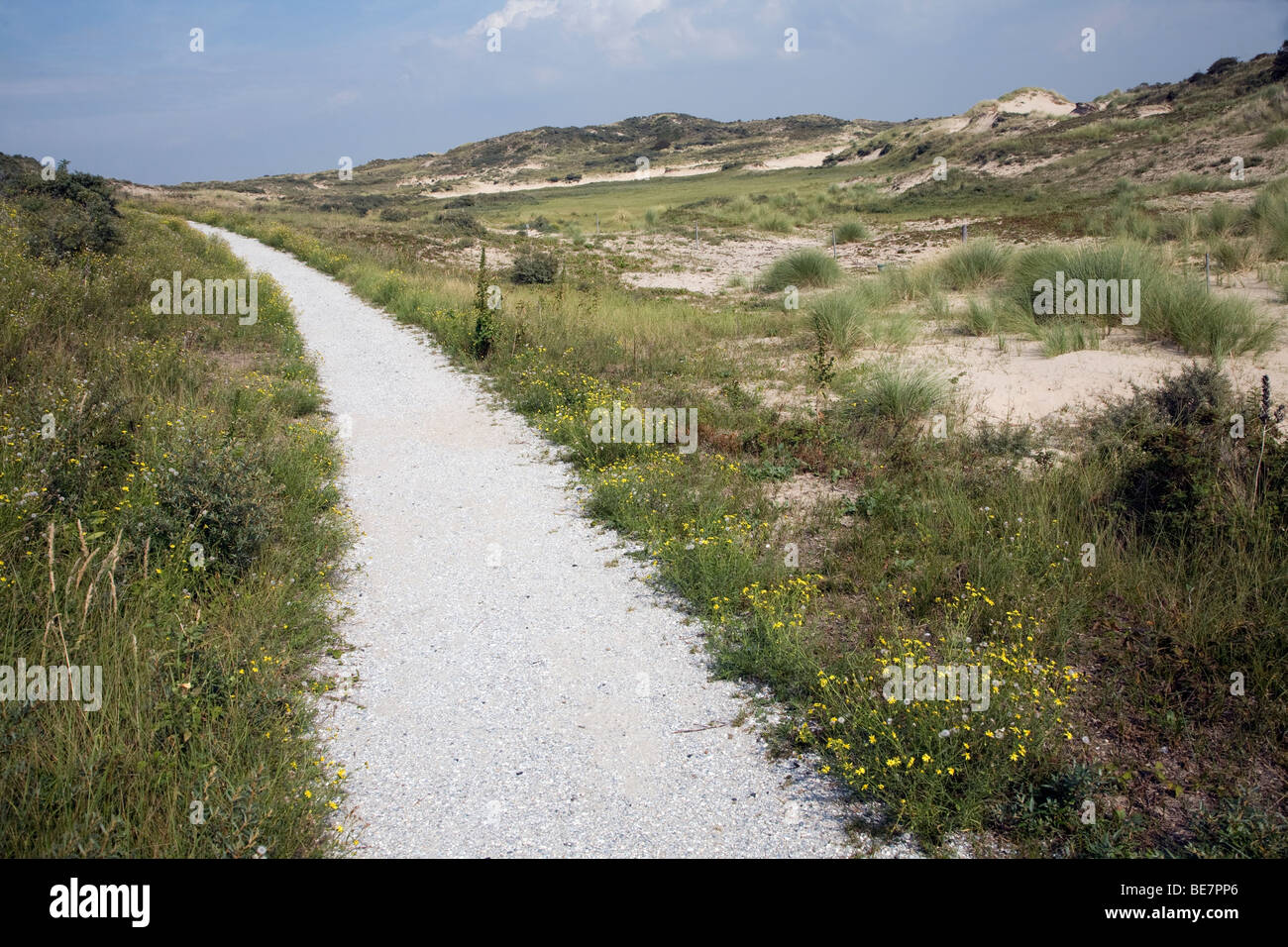 The Dunes between Scheveningen and Katwijk Holland Stock Photo - Alamy