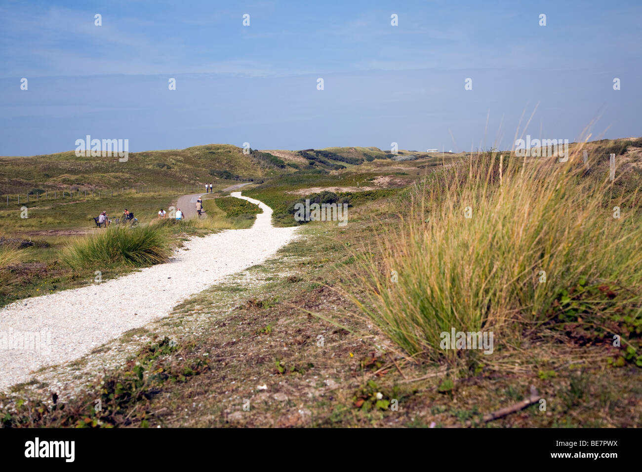 The Dunes between Scheveningen and Katwijk Holland Stock Photo - Alamy