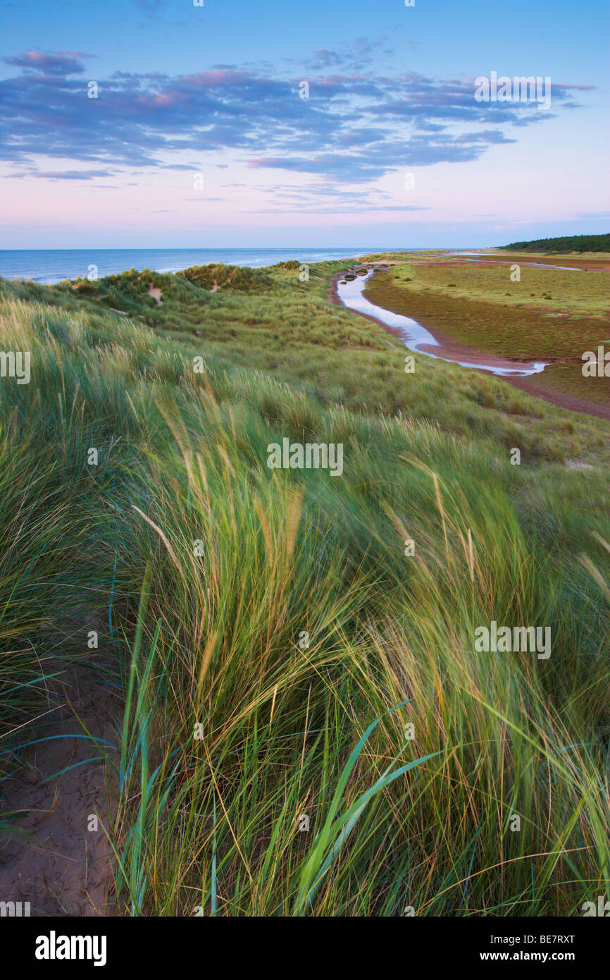 A Summer evening view of the dunes at Holkham Bay on the North Norfolk ...