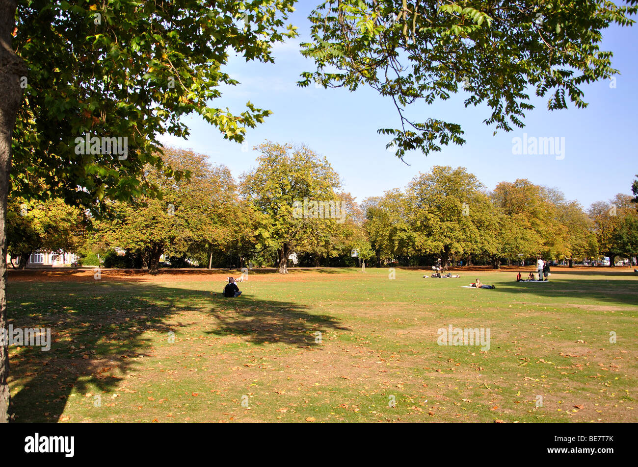 Great trees of london hi-res stock photography and images - Alamy