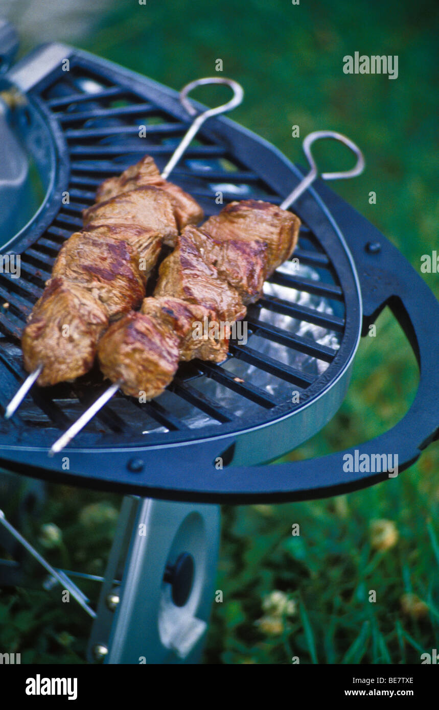 Preparing meat k bob on contemporary style portable gas grill in park ...