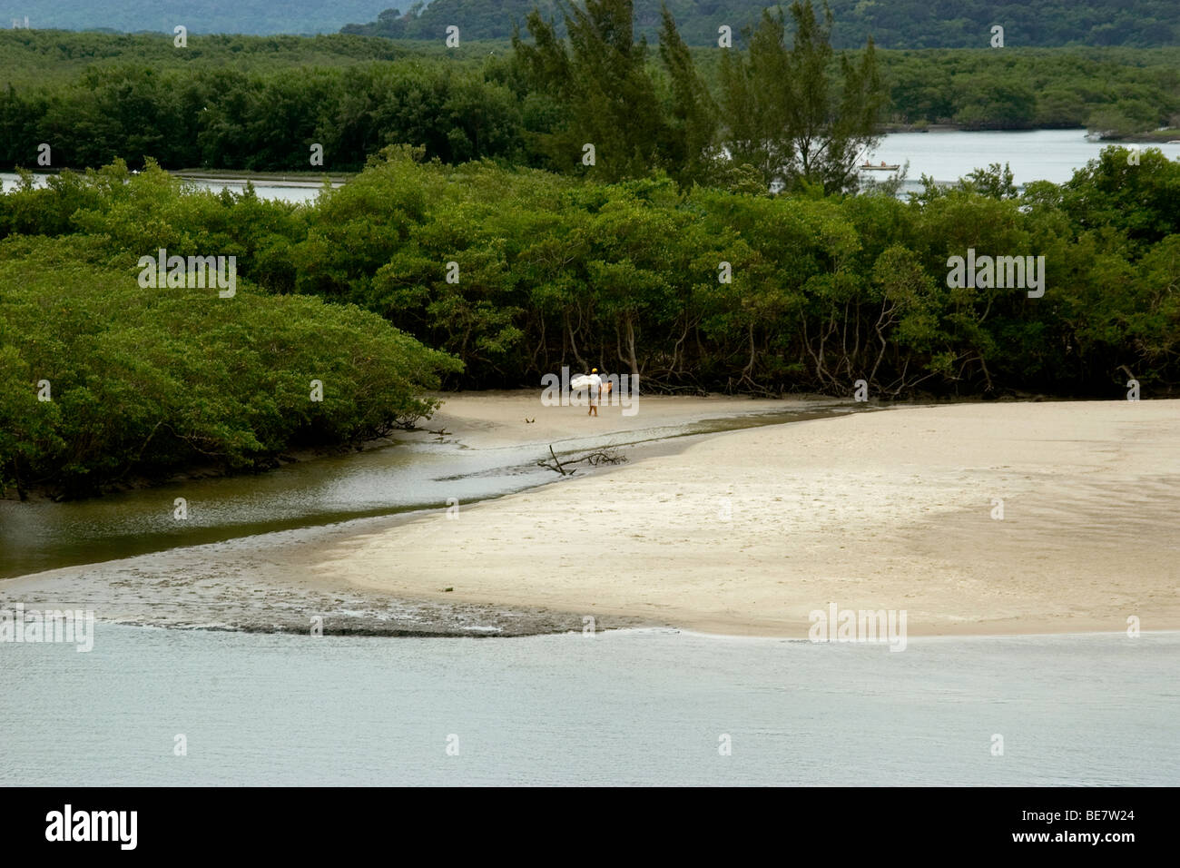 Restinga da Marambaia, Rio de Janeiro, Brazil Stock Photo - Alamy