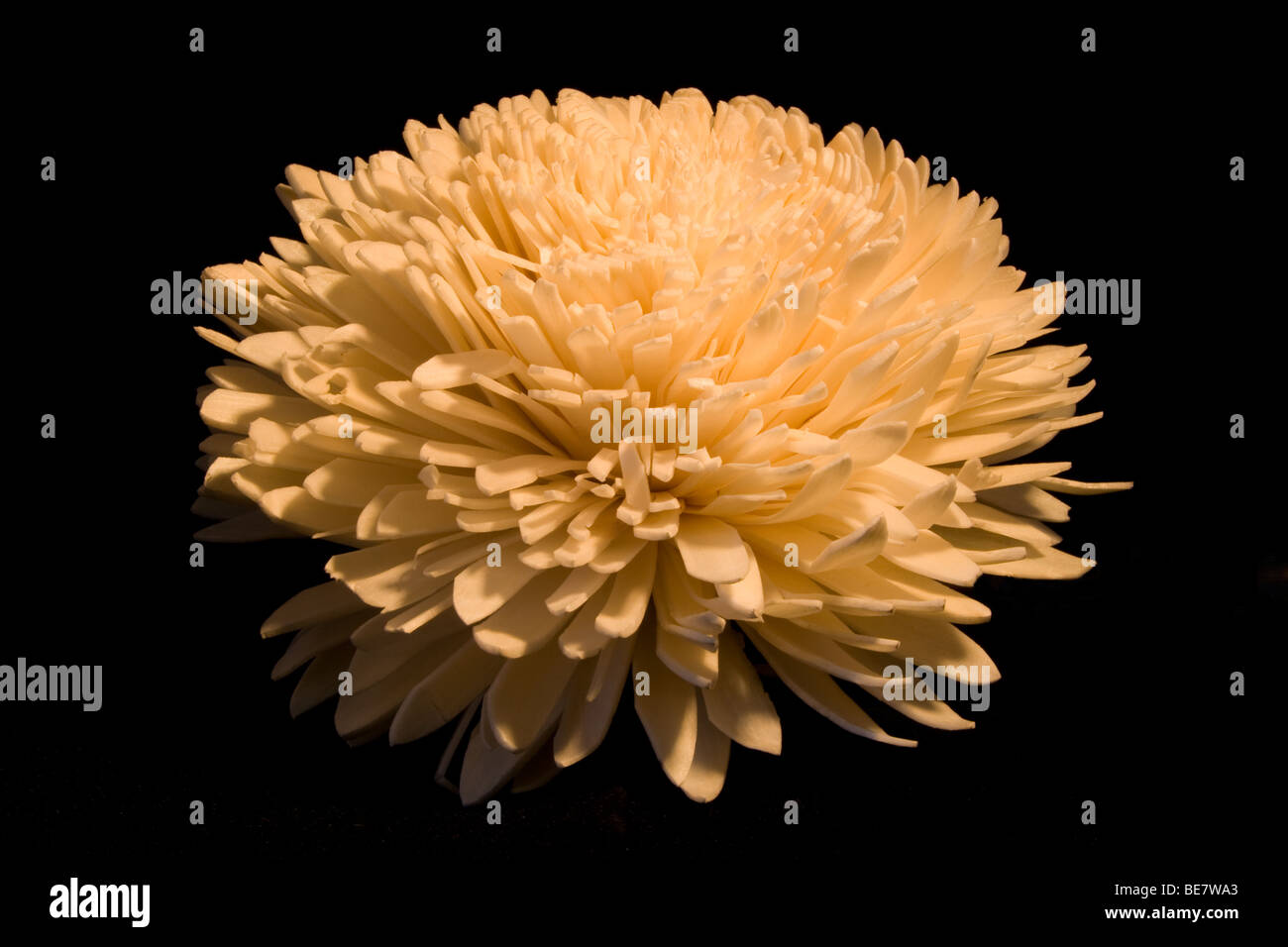 Artificial cream hi-res stock photography and images - Alamy