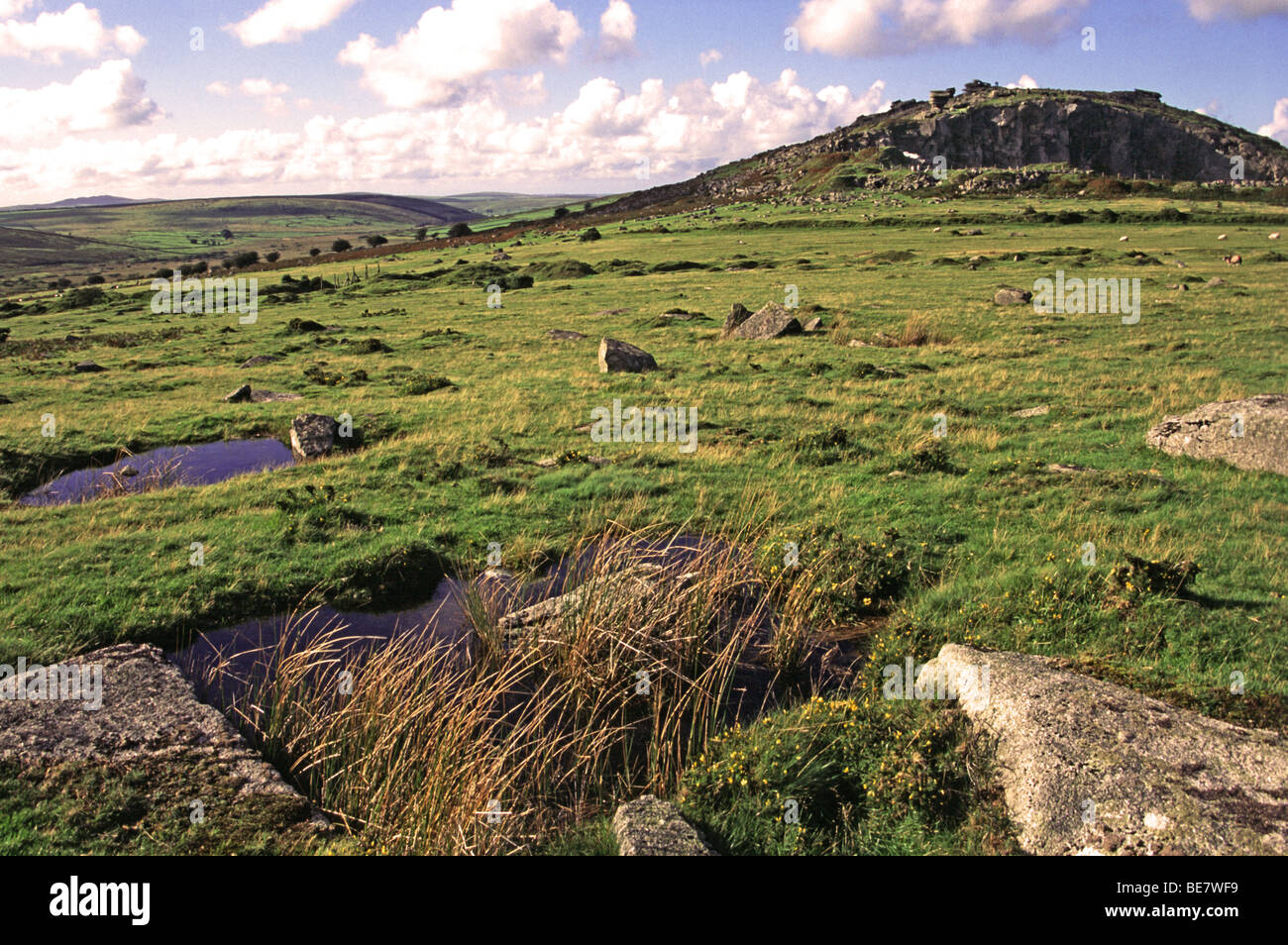 Landscape view of Bodmin Moor Stock Photo - Alamy