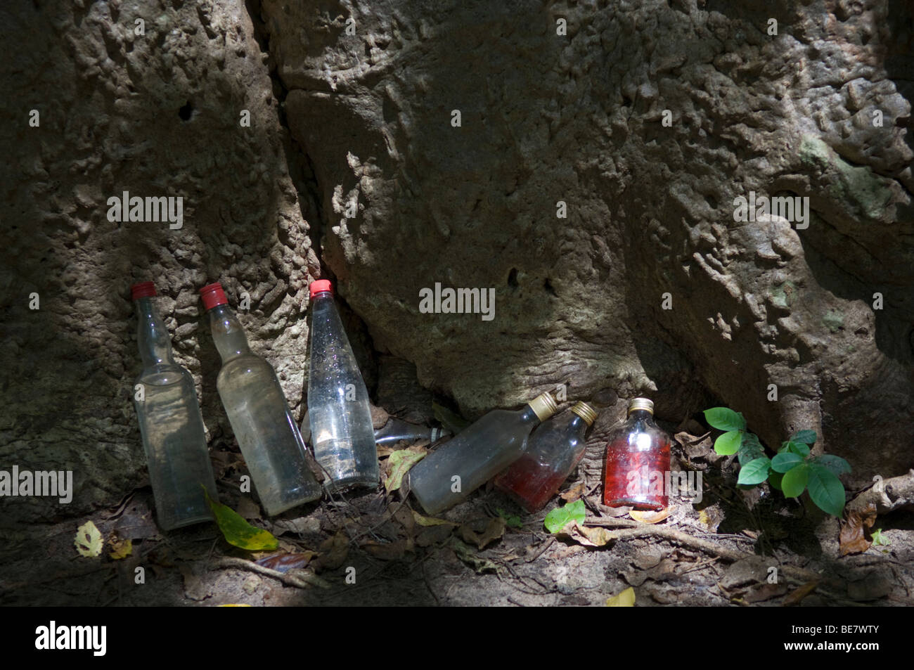 Mnarani hi-res stock photography and images - Alamy