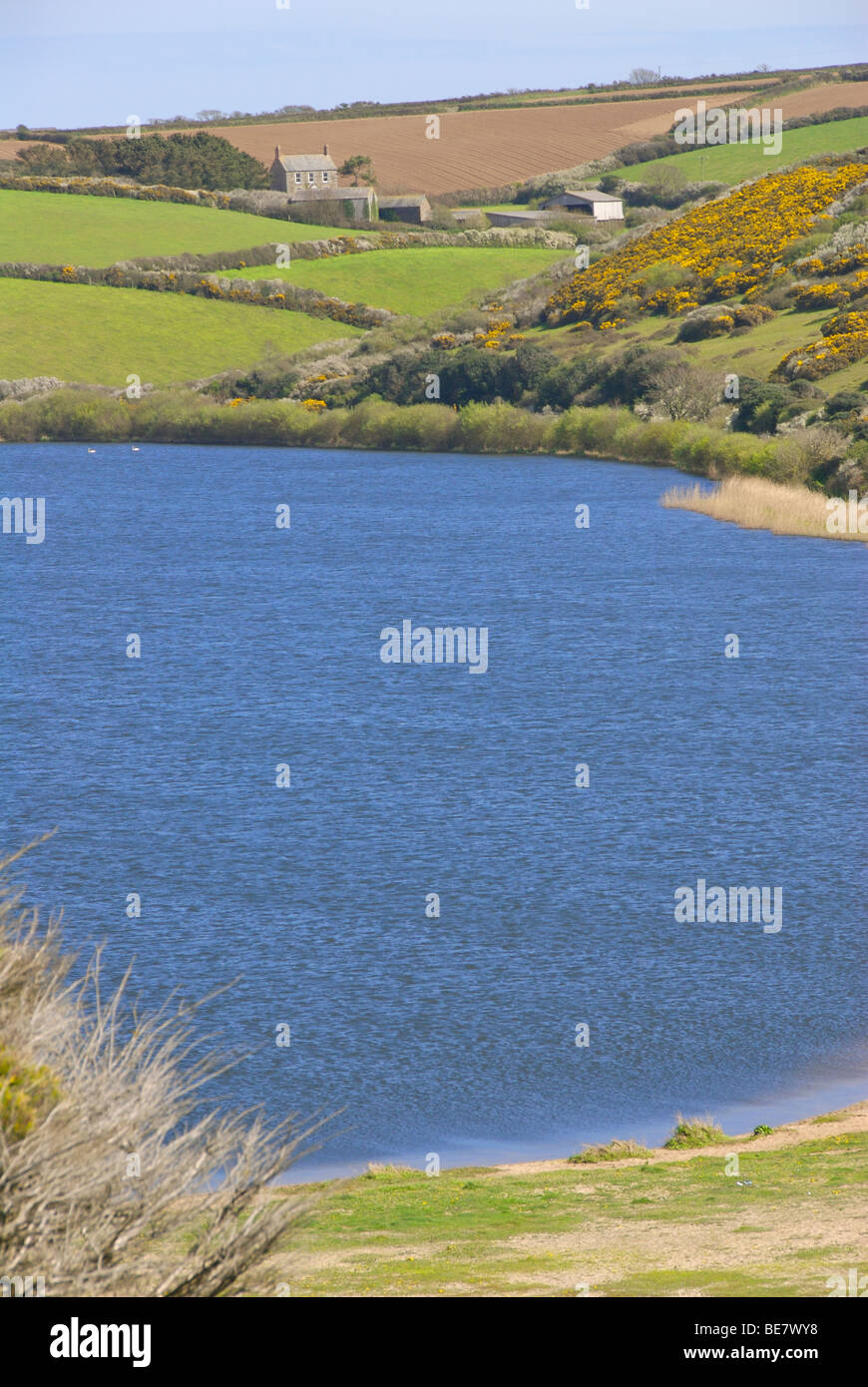 Loe pool cornwall hi-res stock photography and images - Alamy