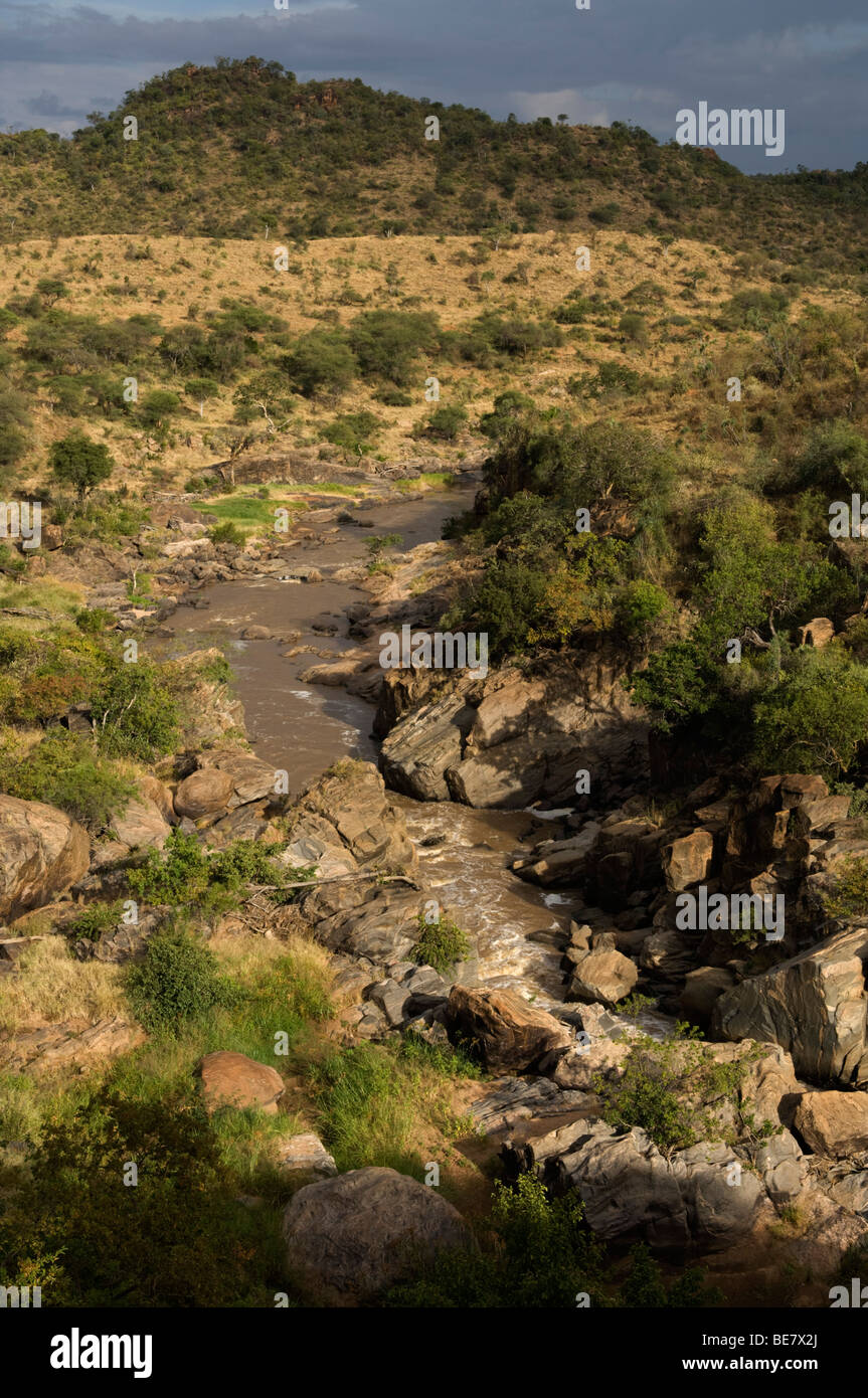 Ewaso Nyiro river, Laikipia plateau, Kenya Stock Photo - Alamy