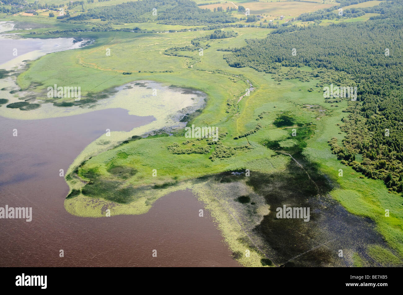 Briede hi-res stock photography and images - Alamy