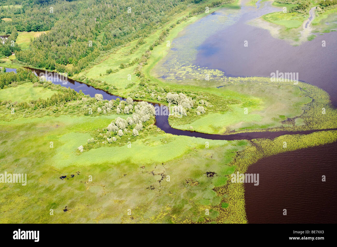 Aerial view of Ruja river falling into Lake Burtnieks Stock Photo - Alamy