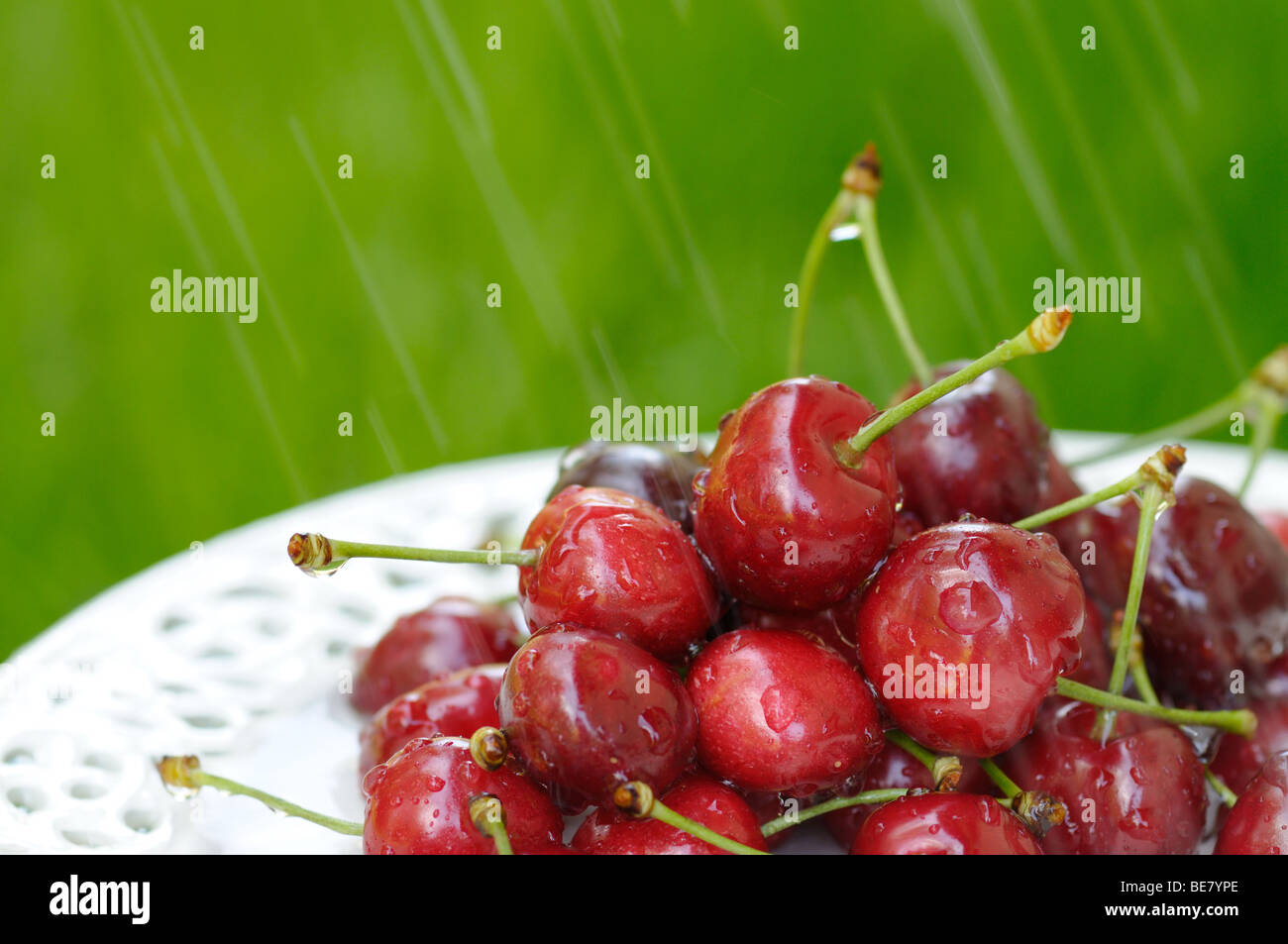 Fresh green grass during rain hi-res stock photography and images - Alamy