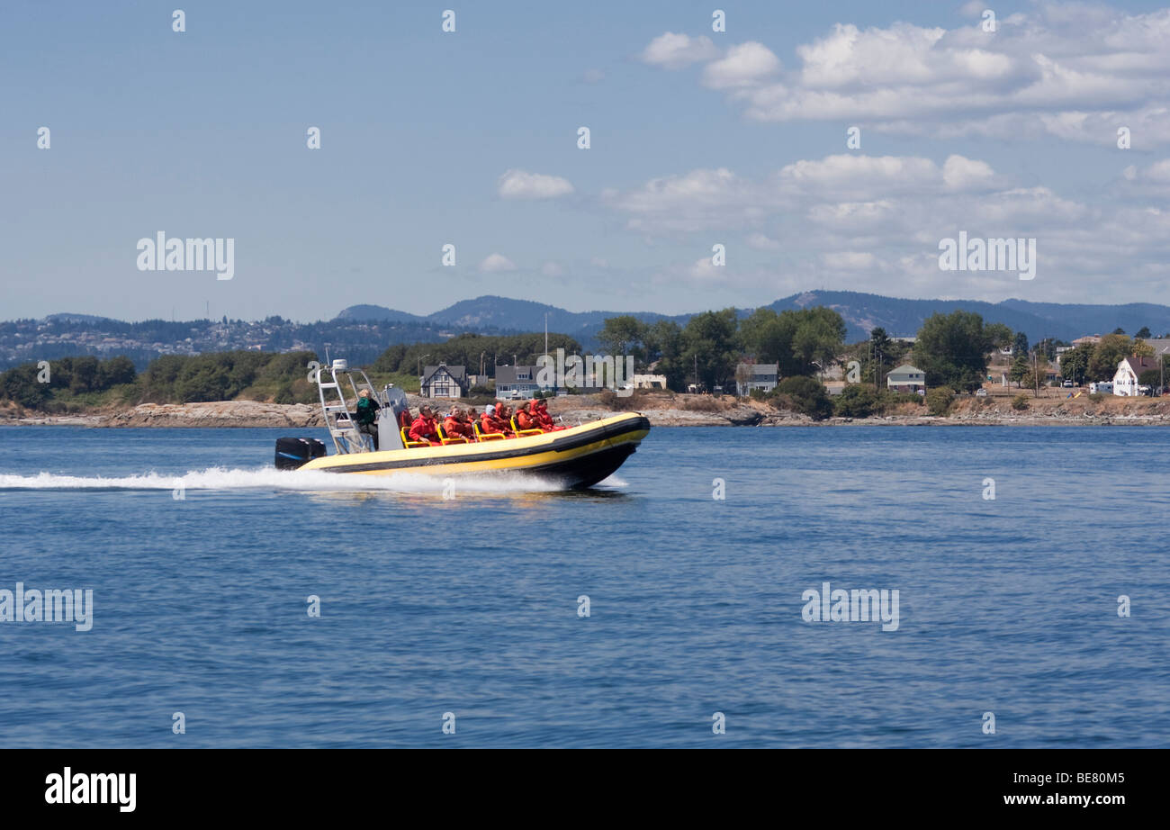 Captain riding boat hi-res stock photography and images - Alamy
