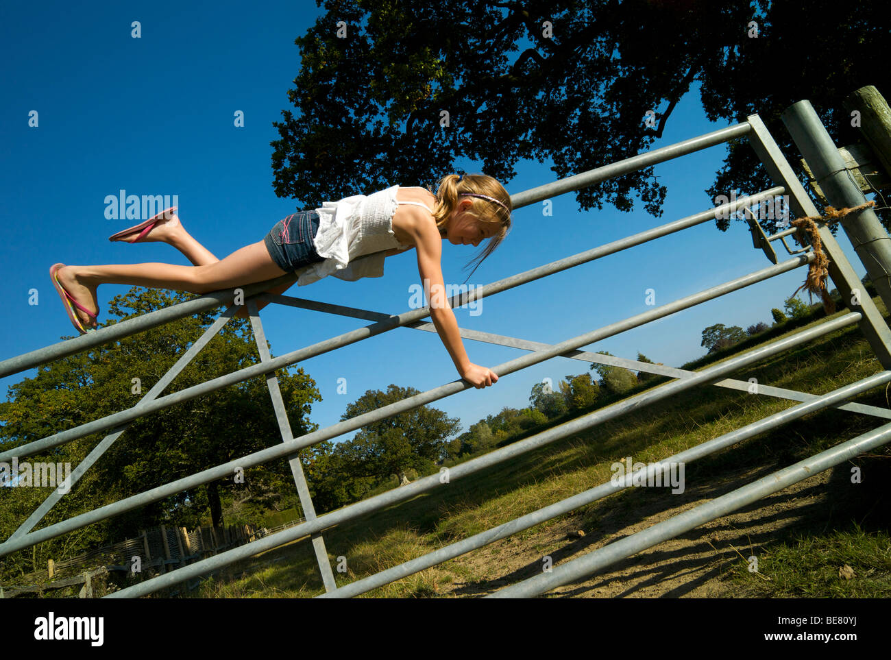 Young children playing on a farm gate Stock Photo - Alamy