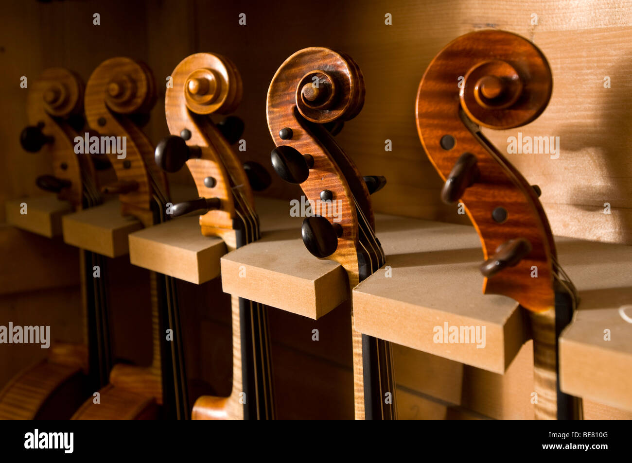 Violin Scroll Outline