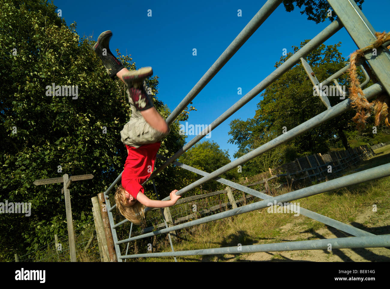 Young children playing on a farm gate Stock Photo - Alamy