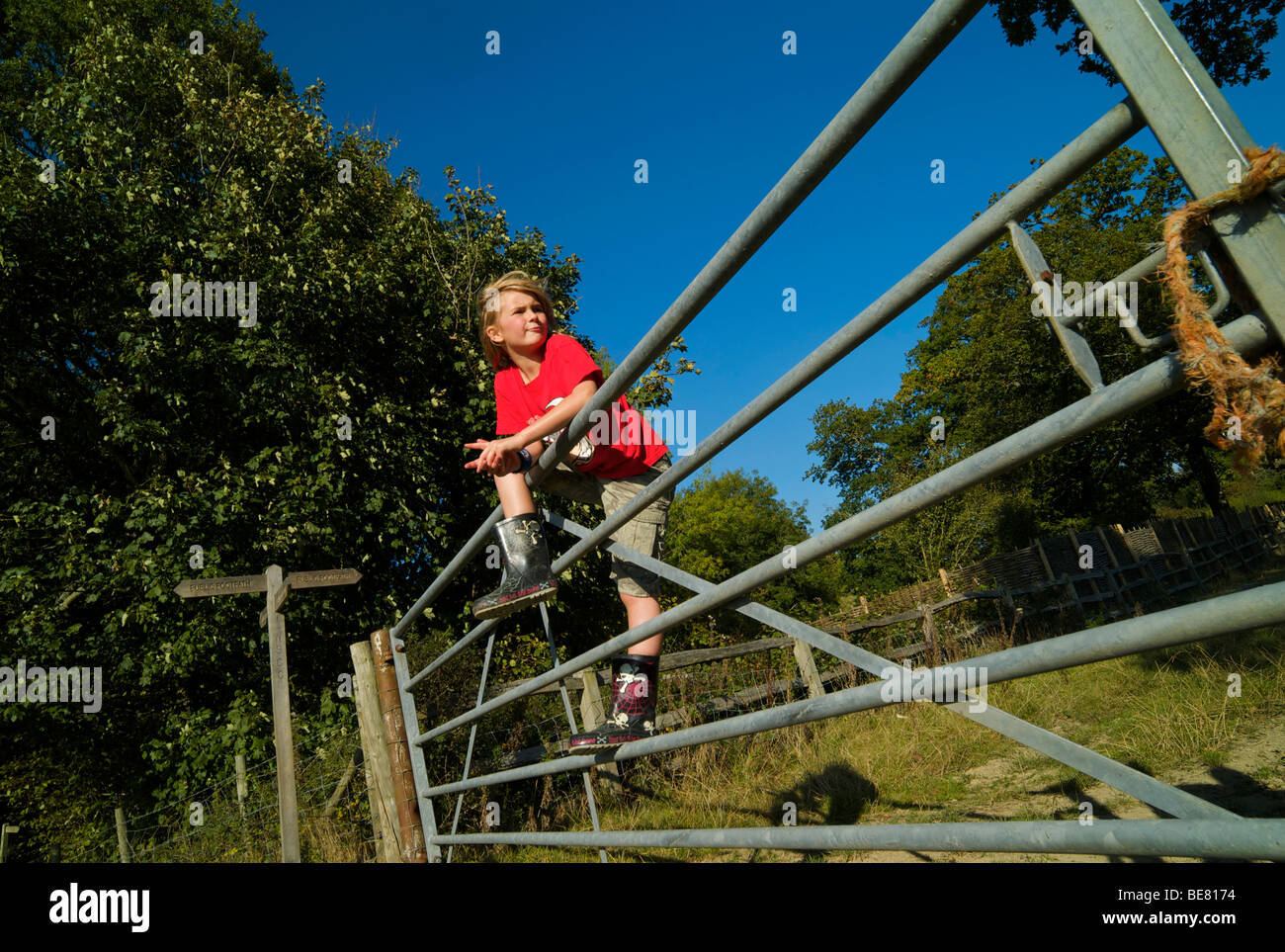 Young children playing on a farm gate Stock Photo - Alamy