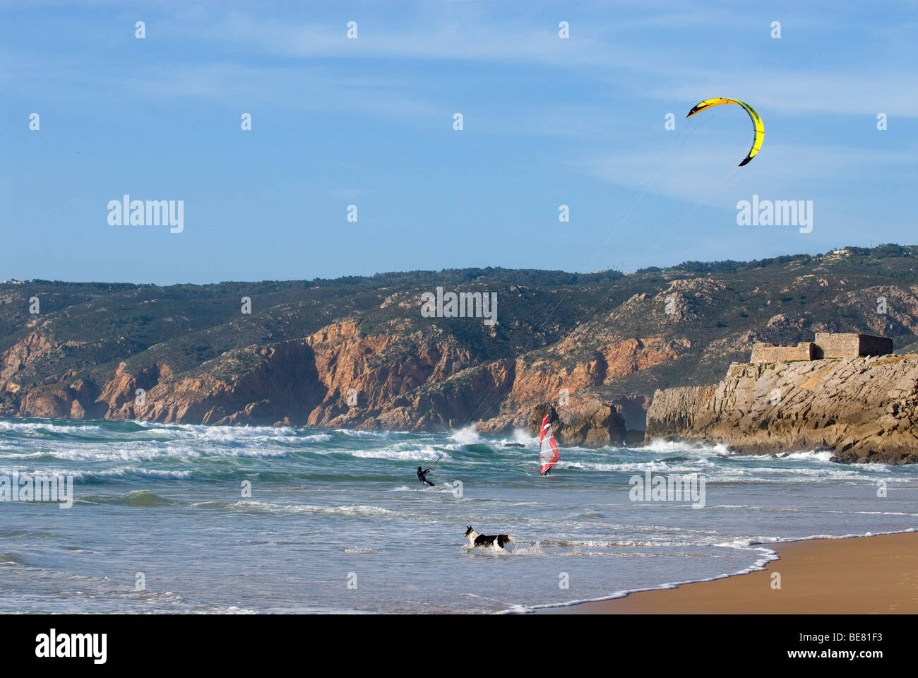 Kitesurfer and dog on Guincho Beach, Costa de Lisboa, Lisbon District ...