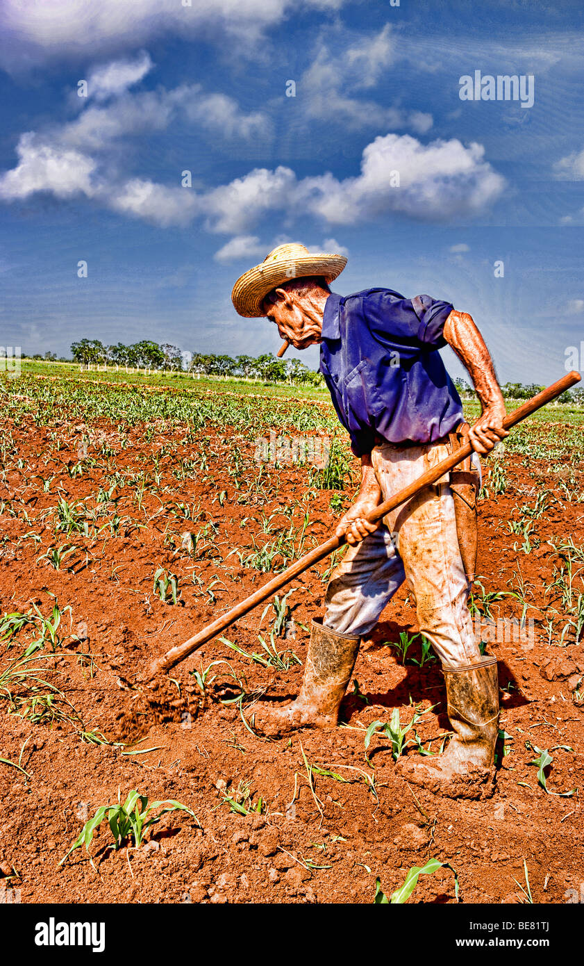 Farmer working fields near havana hi-res stock photography and images ...