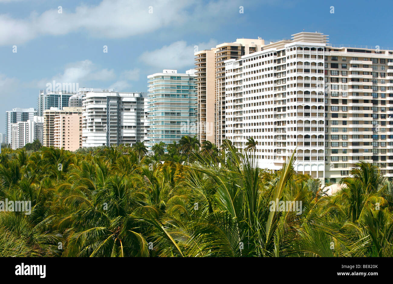 Apartment buildings behind palm trees, Condominium towers, Surfside ...