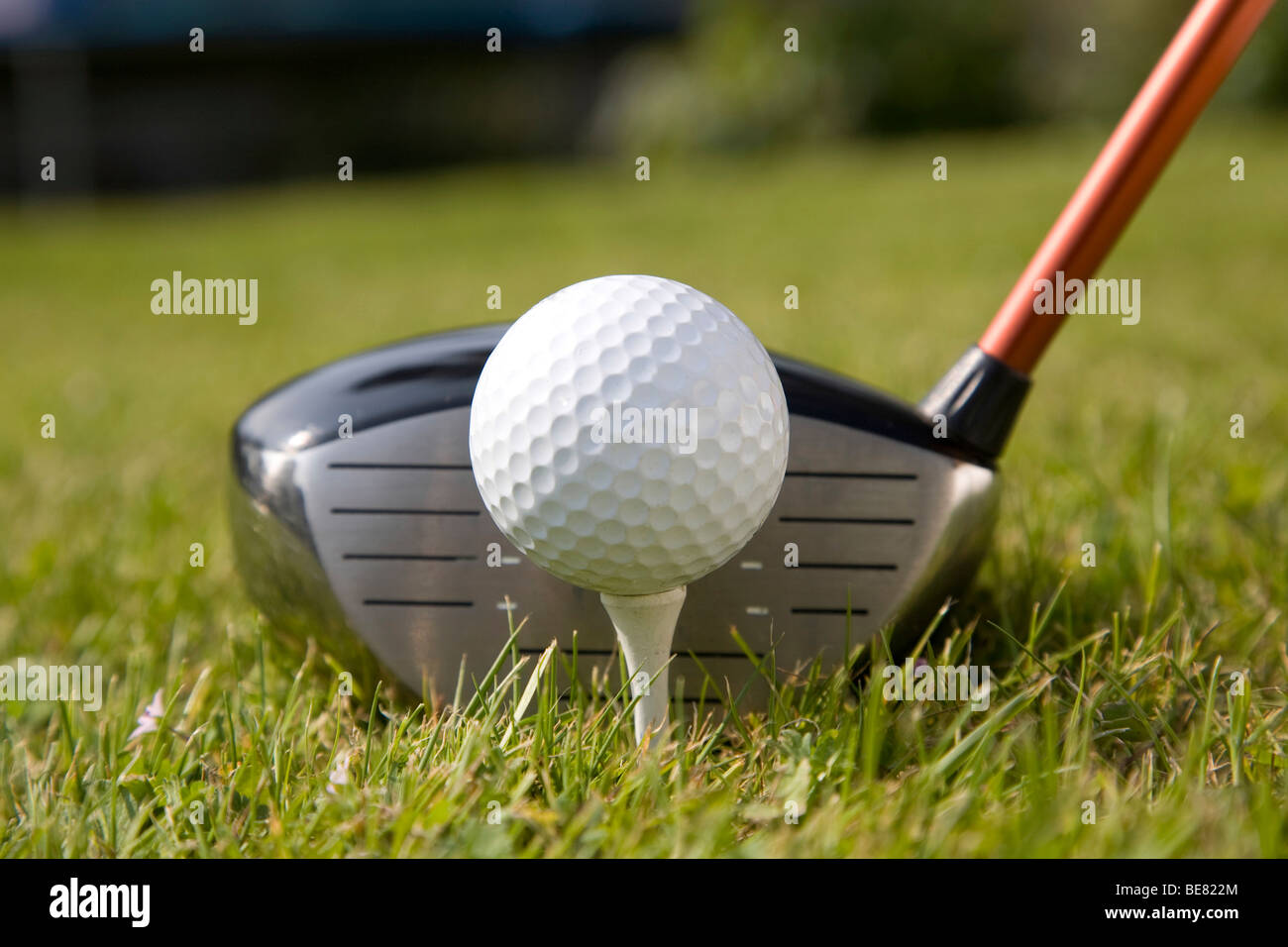 golf ball and driver Stock Photo - Alamy