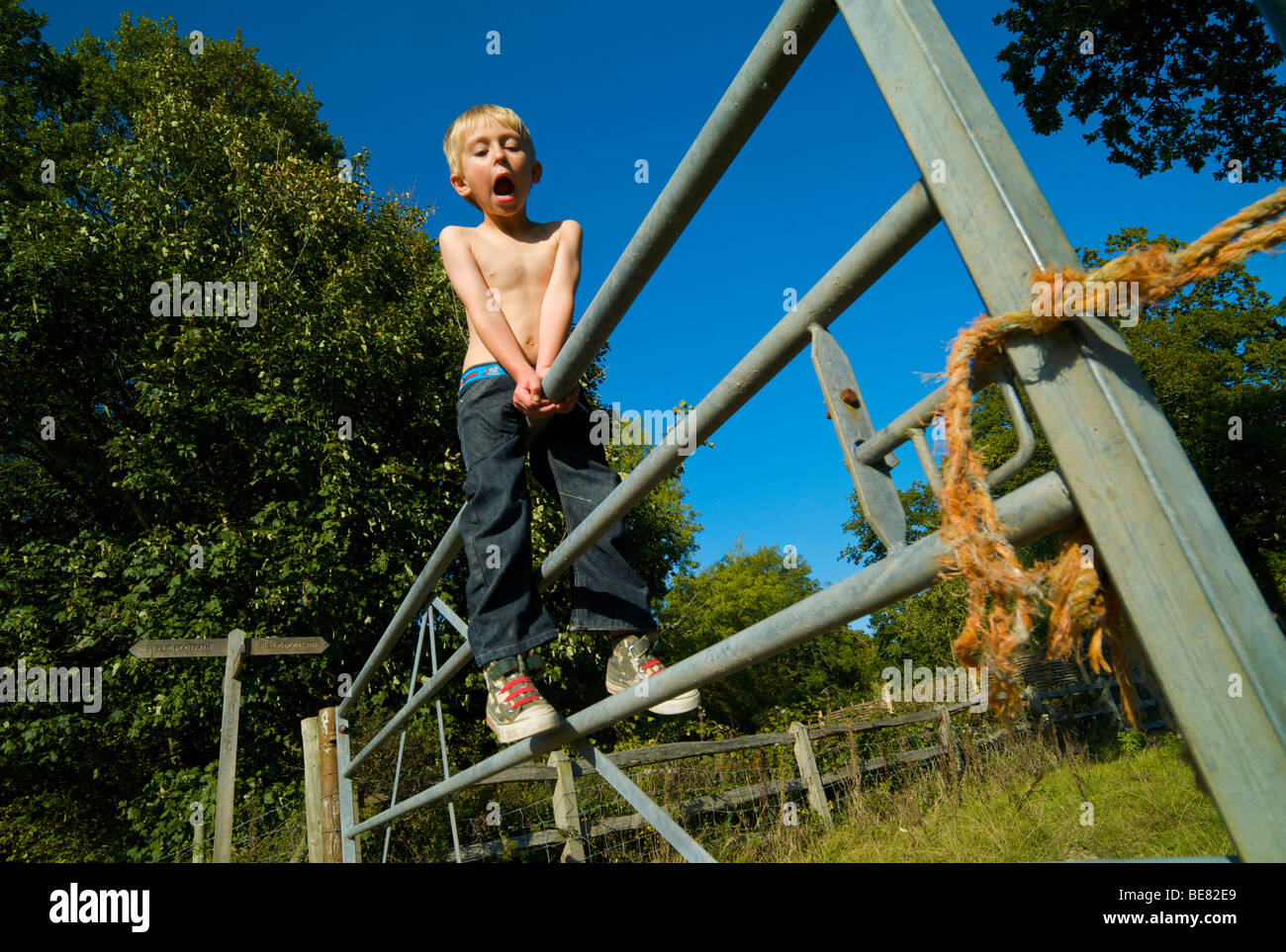 Young children playing on a farm gate Stock Photo - Alamy