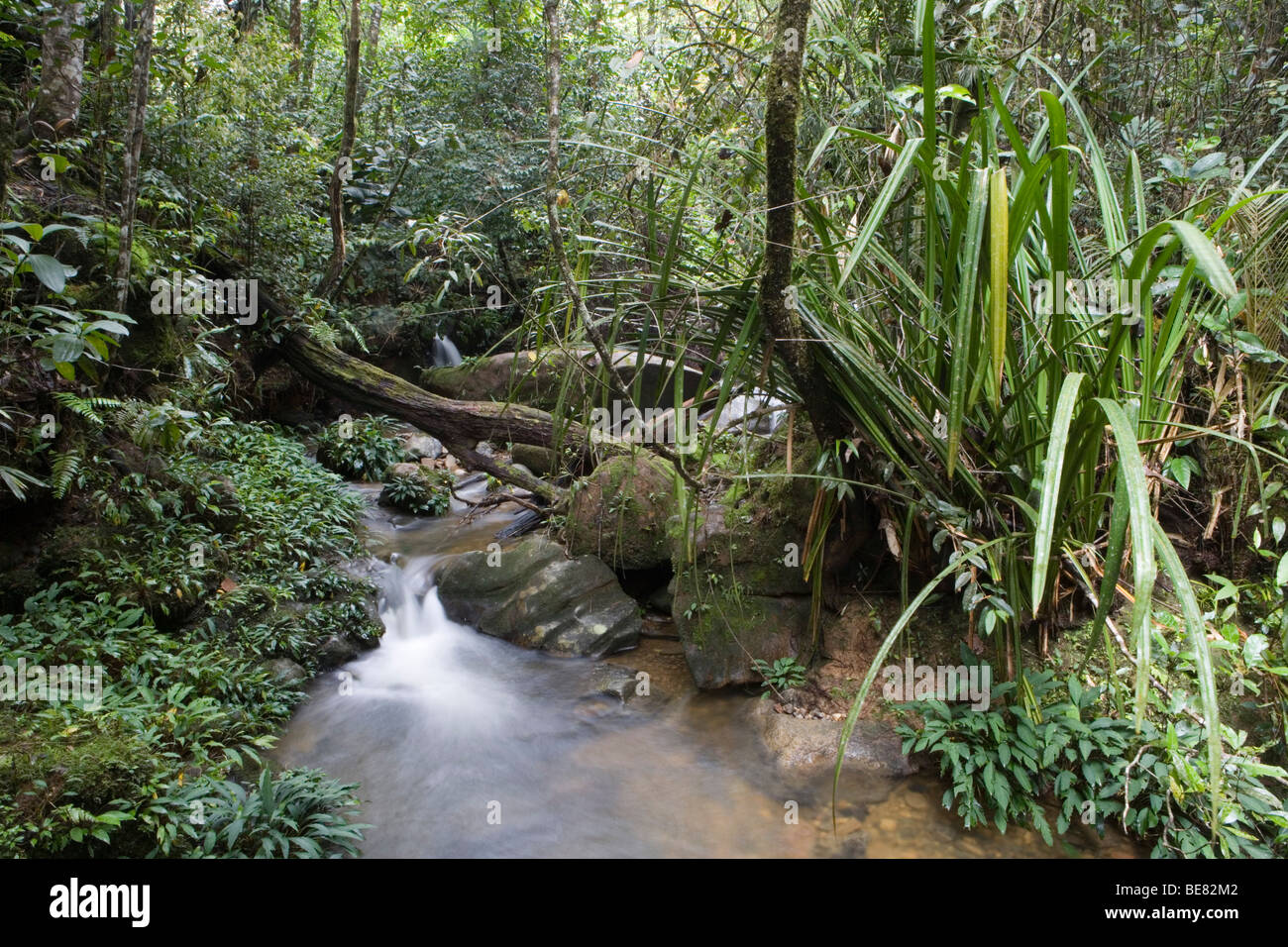 Kota kinaba hi-res stock photography and images - Alamy