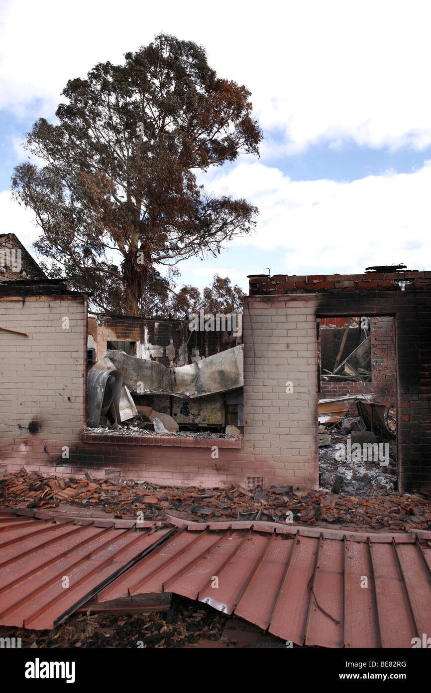 australian bush fire damage,australian bush fire aftermath,post ...
