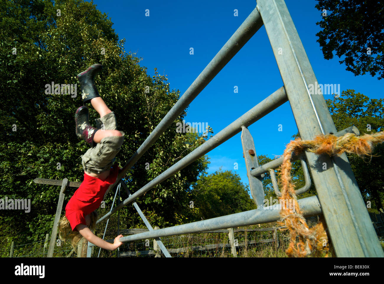 Young children playing on a farm gate Stock Photo - Alamy
