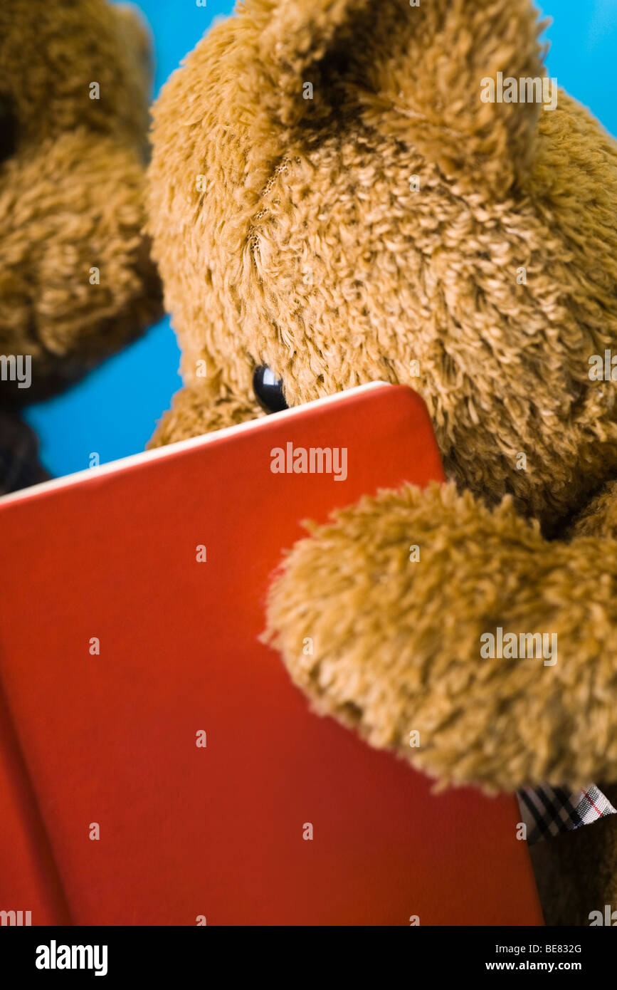 Teddy bear reading book, close-up Stock Photo - Alamy