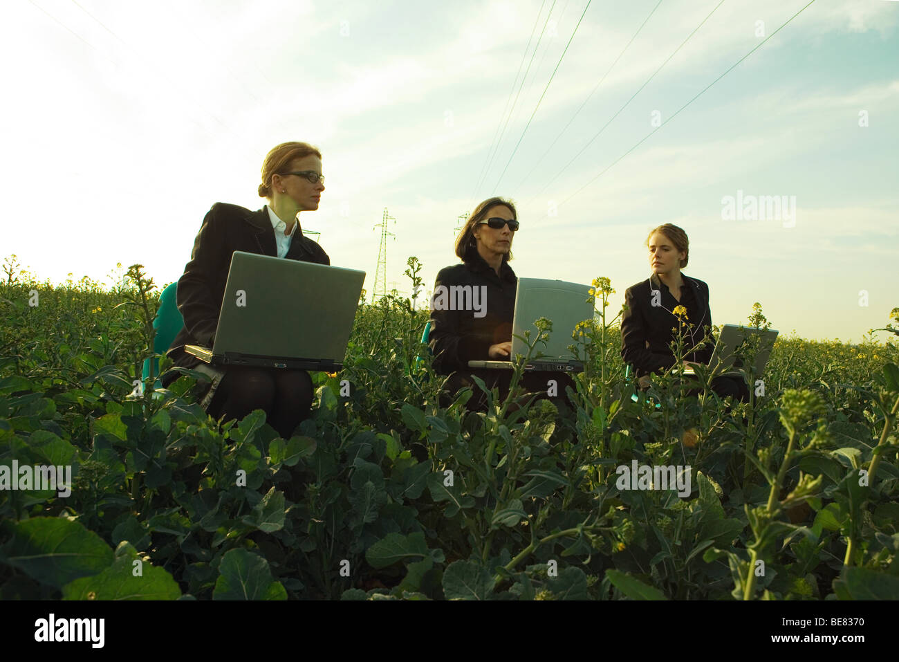 Three businesswomen sitting in field, all using laptop computers Stock ...