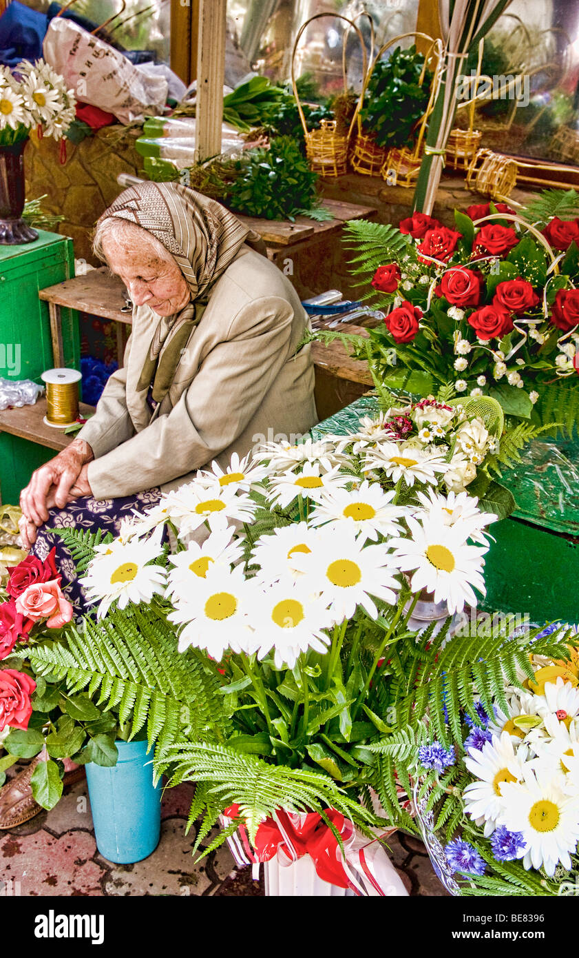 Old lady babushkas selling flowers at market in old town center city of ...