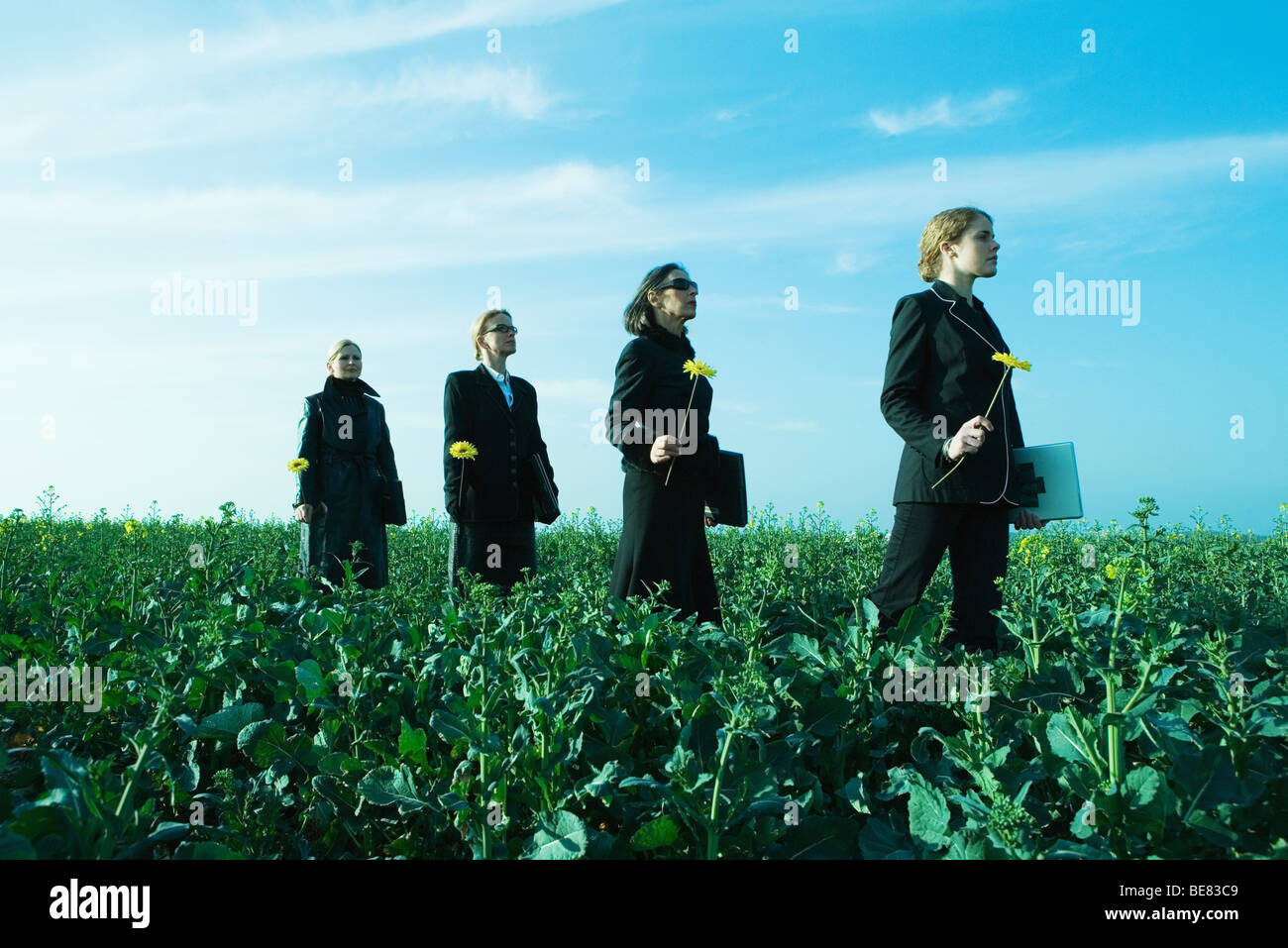 Walking in single file line hi-res stock photography and images - Alamy
