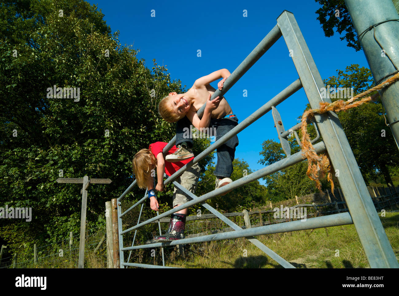 Young children playing on a farm gate Stock Photo - Alamy