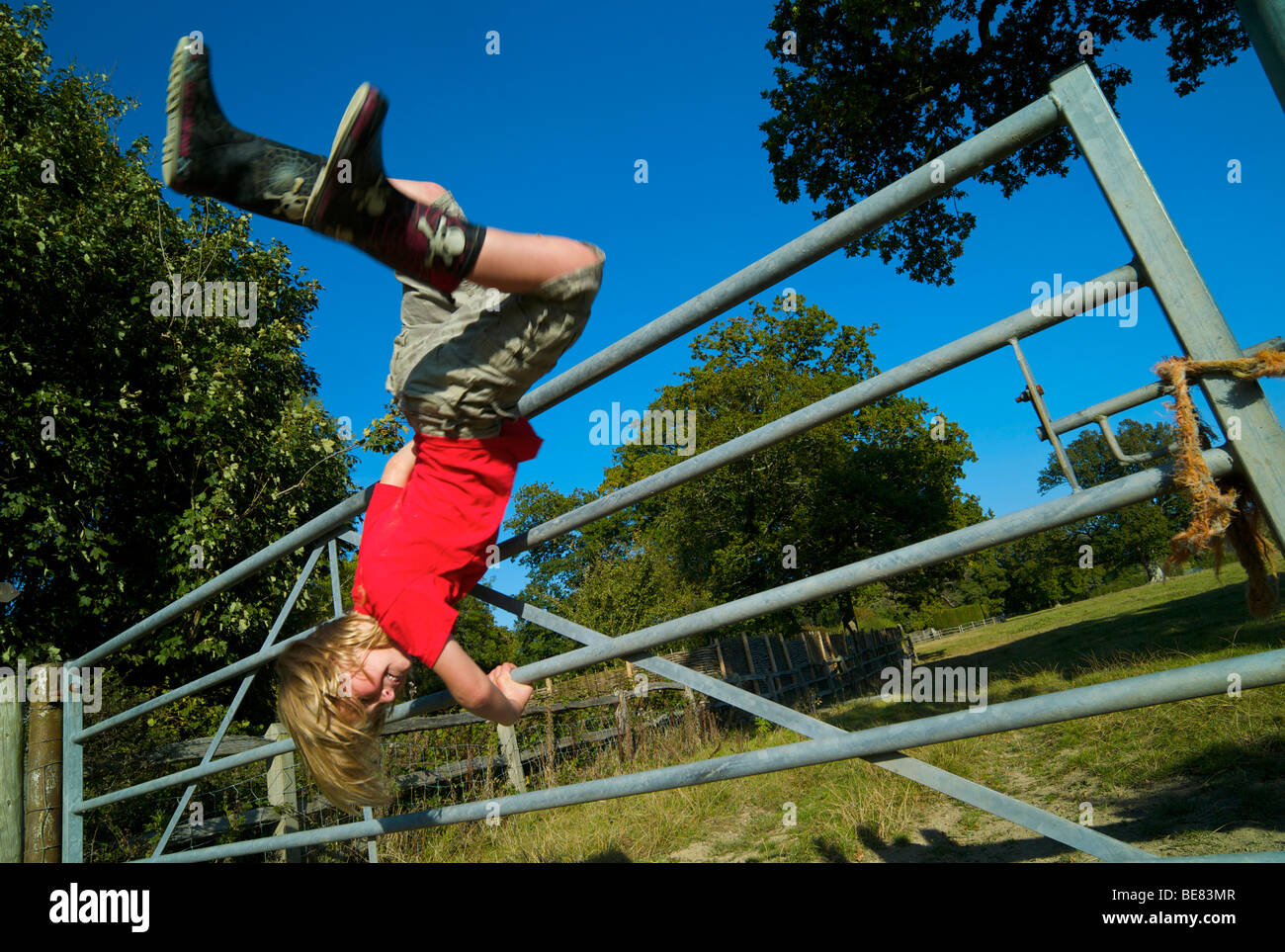 Young children playing on a farm gate Stock Photo - Alamy