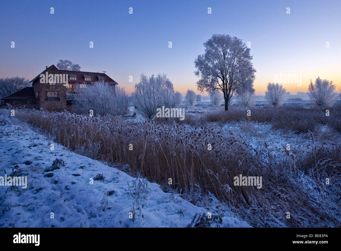 The Bossche Broek before sunrise covered with ripe and snow ...