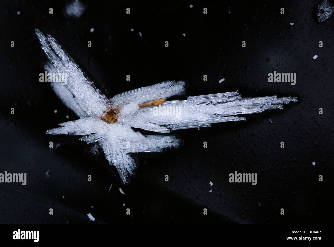 ijs kristal op donker ijs; ice cristal on dark ice Stock Photo - Alamy