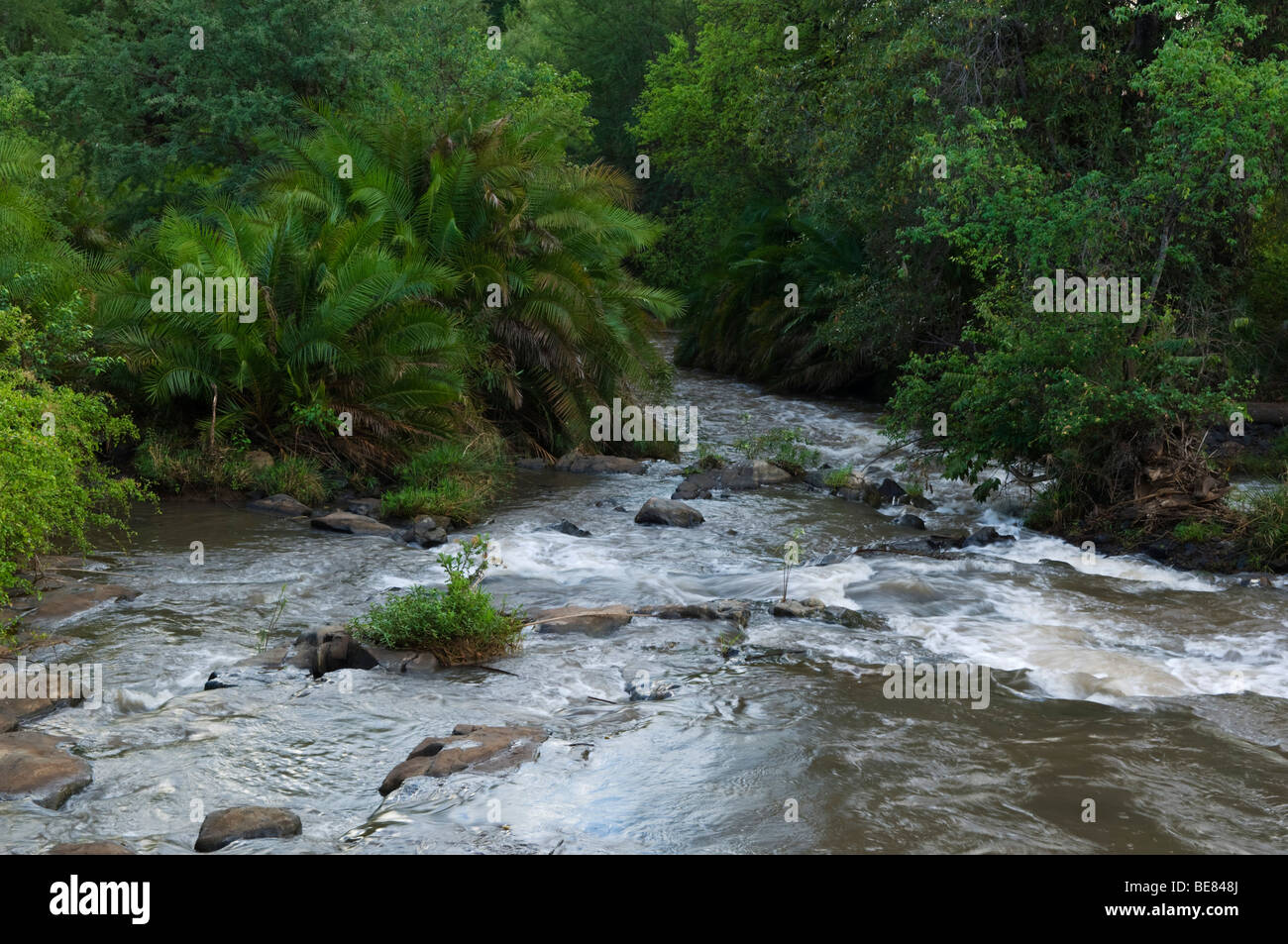 Tana river kenya hi-res stock photography and images - Alamy