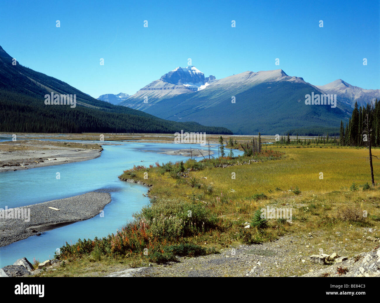 North Saskatchewan River in Banff National Park Stock Photo - Alamy
