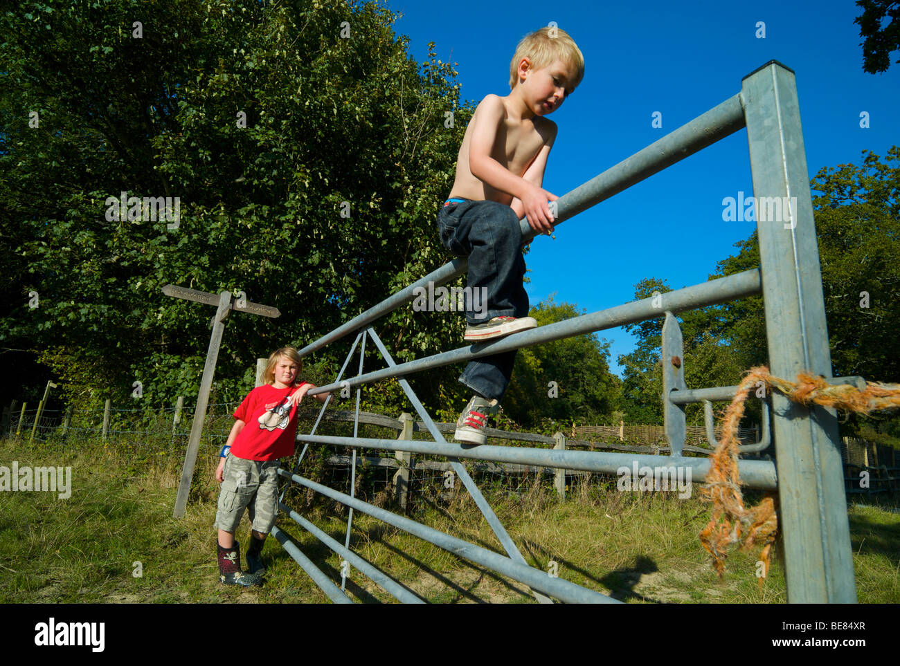 Young children playing on a farm gate Stock Photo - Alamy