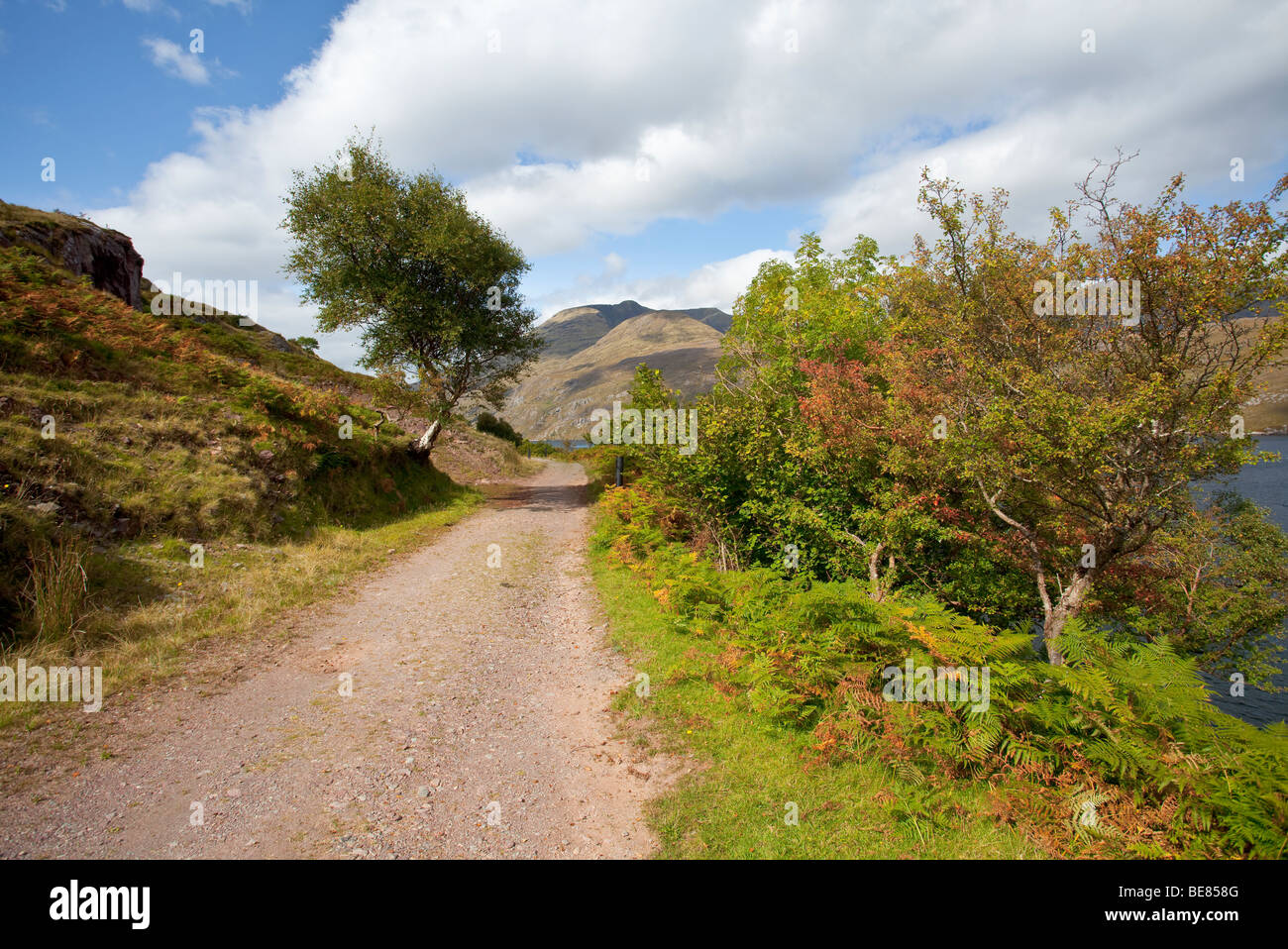 The path along the edge of Killarney Harbour which is accepted as being ...