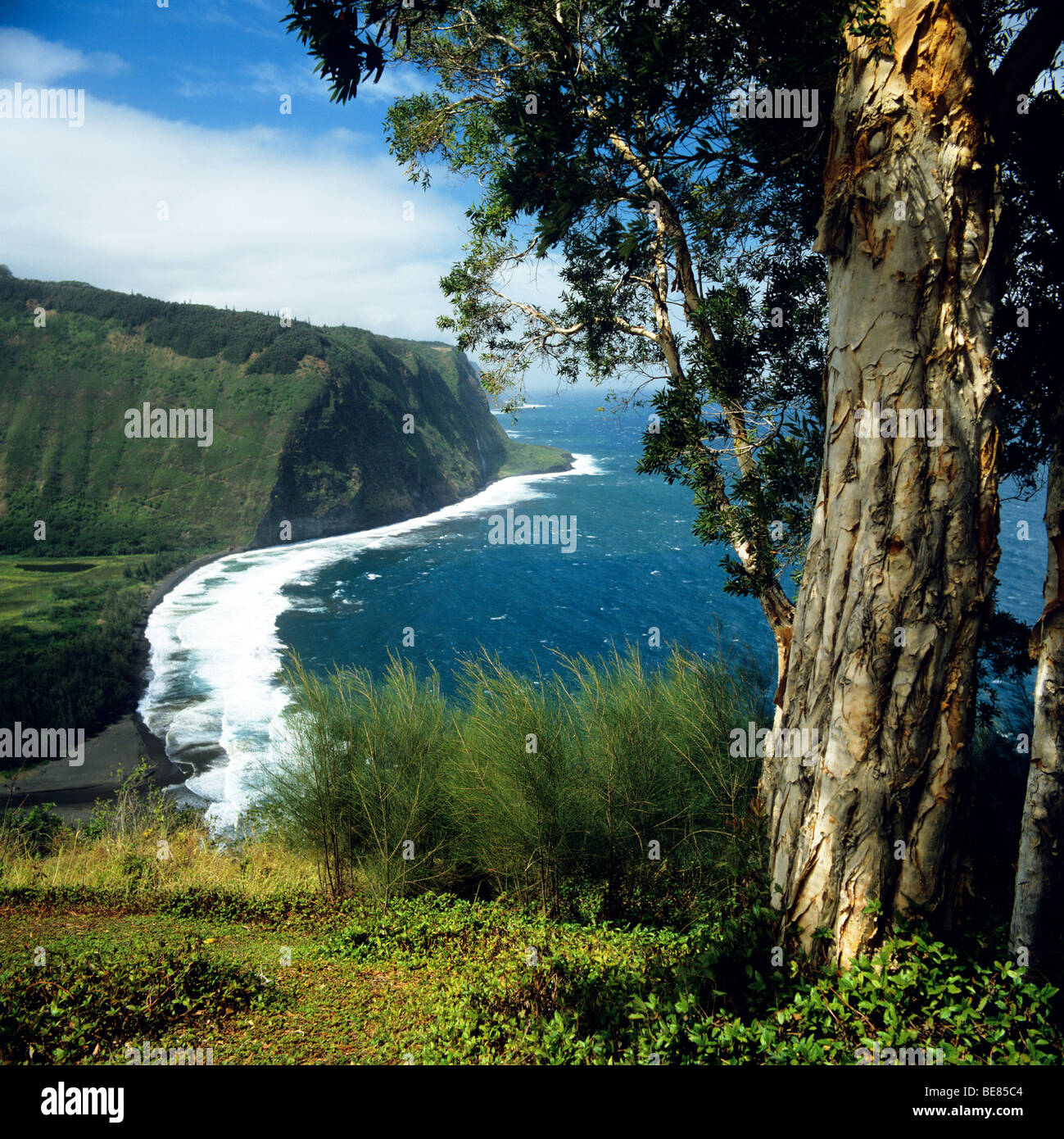 Clifftop view from Waipio Valley Lookout on Big Island, Hawaii Stock ...