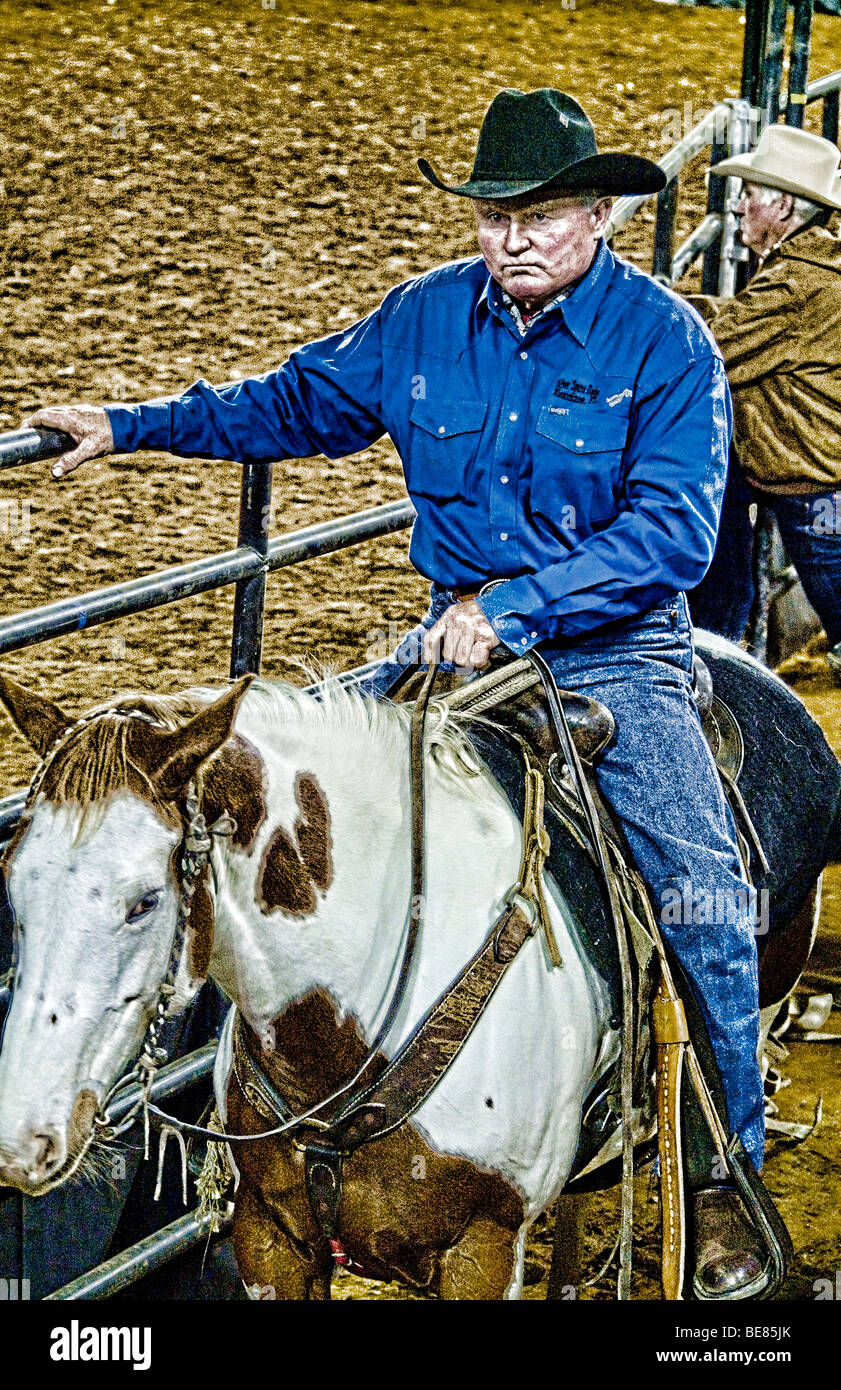 Cowboy performing off stage on horse at the Famous Silver Spurs rodeo ...