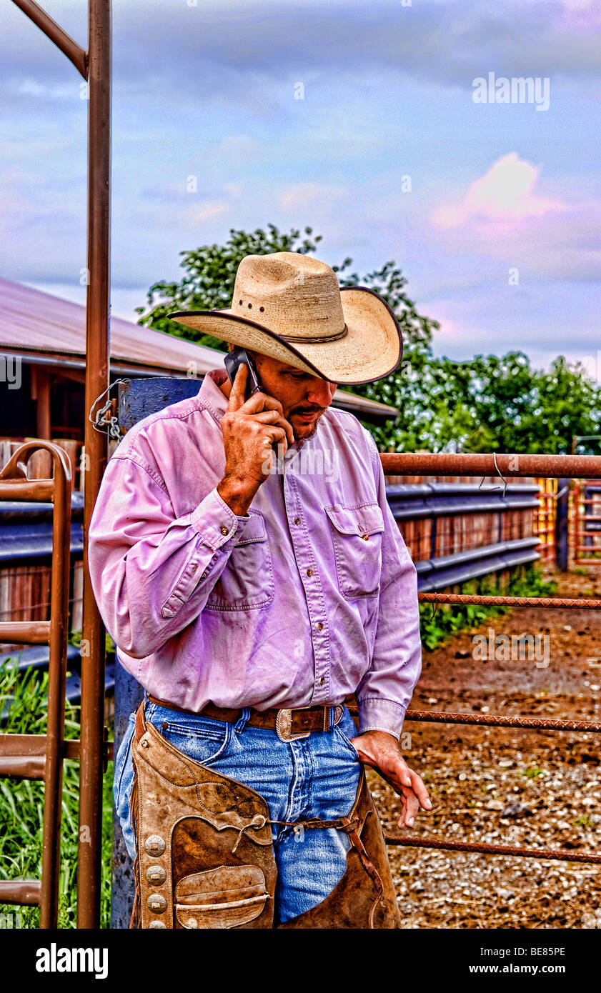 The cowboy life in the USA West as cowboy uses cell phone at his ranch ...