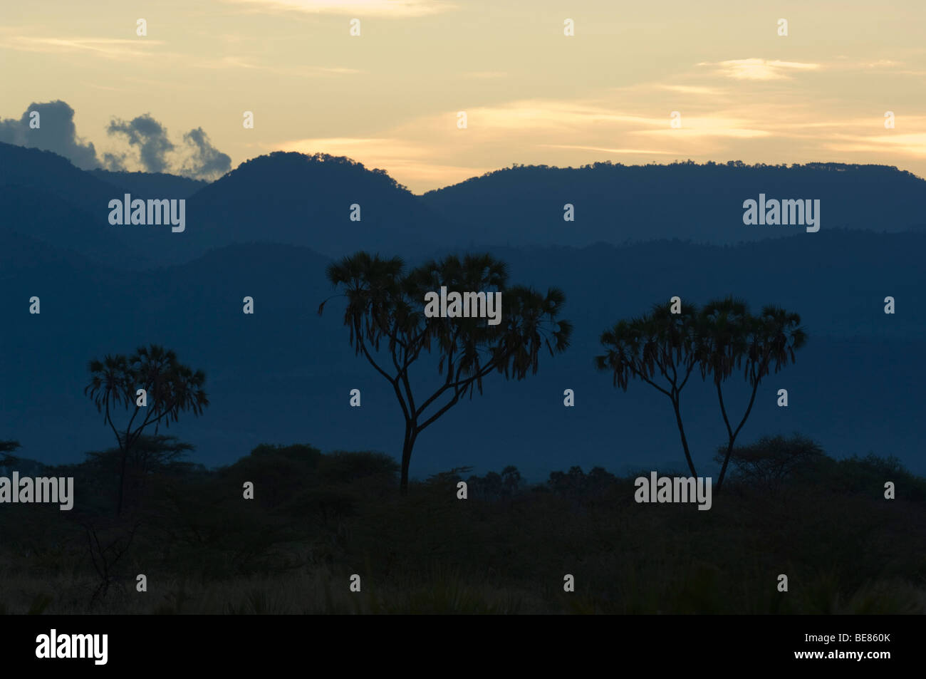 Meru National Park, Kenya Stock Photo - Alamy