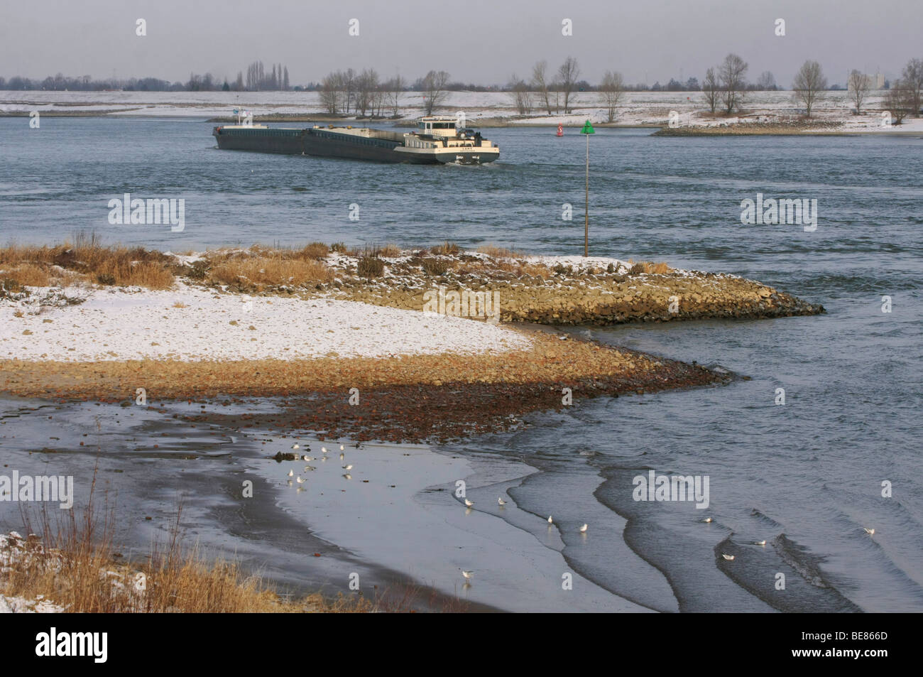 De meeuwen hi-res stock photography and images - Alamy