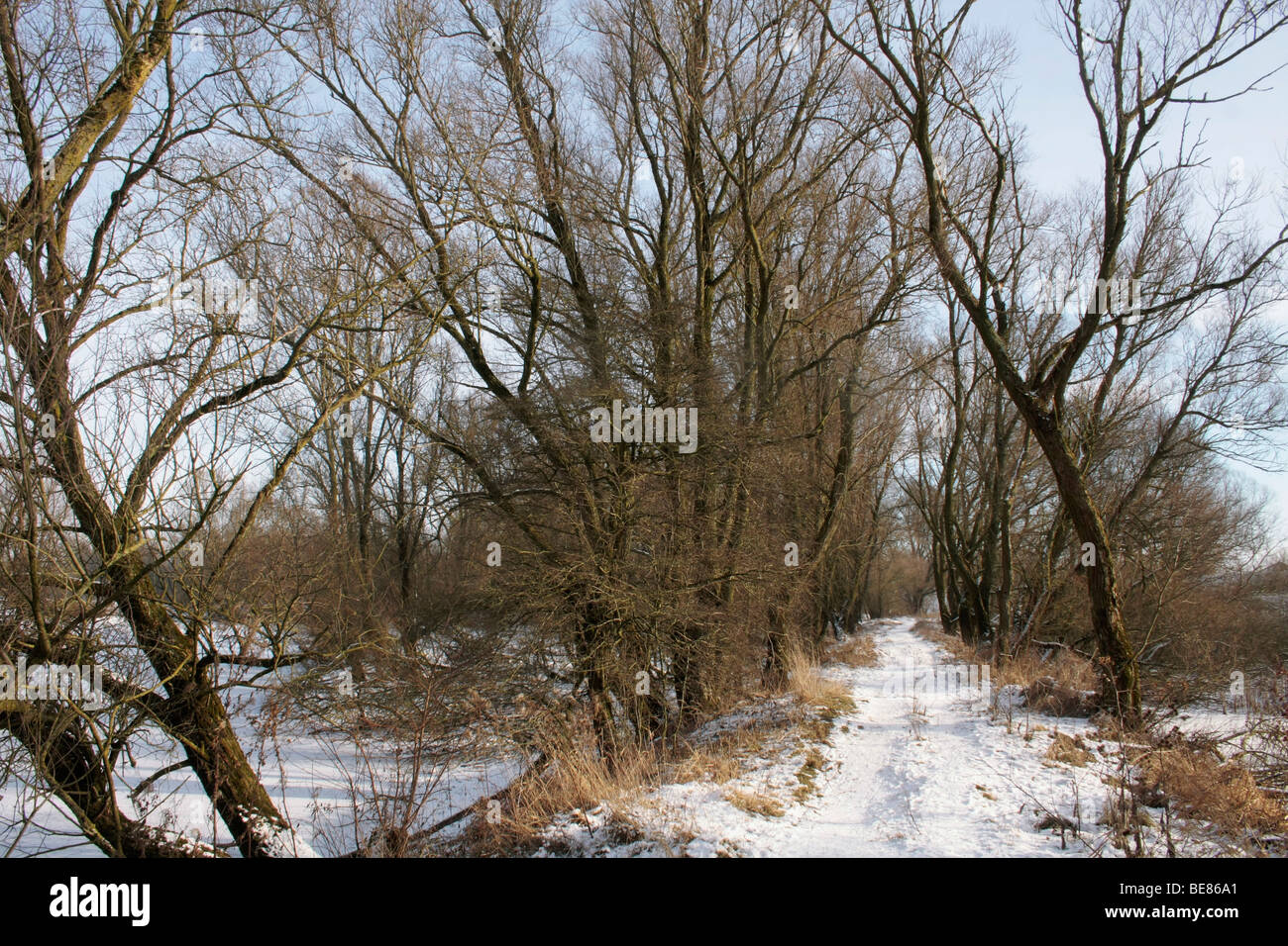 Wandelpad door een ooibos hi-res stock photography and images - Alamy