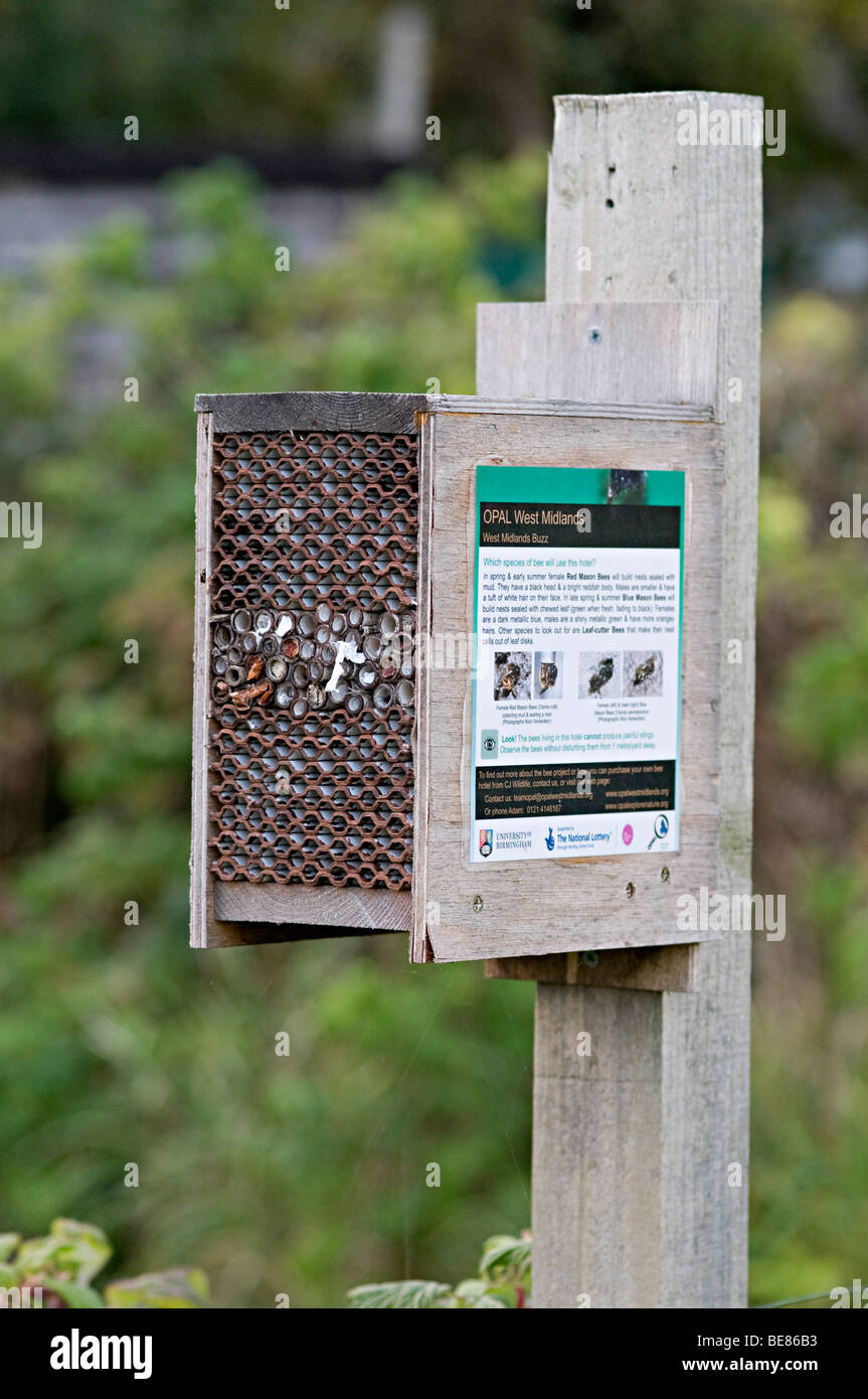 a solitary bee nest monitoring project, to monitor solitary bees which ...