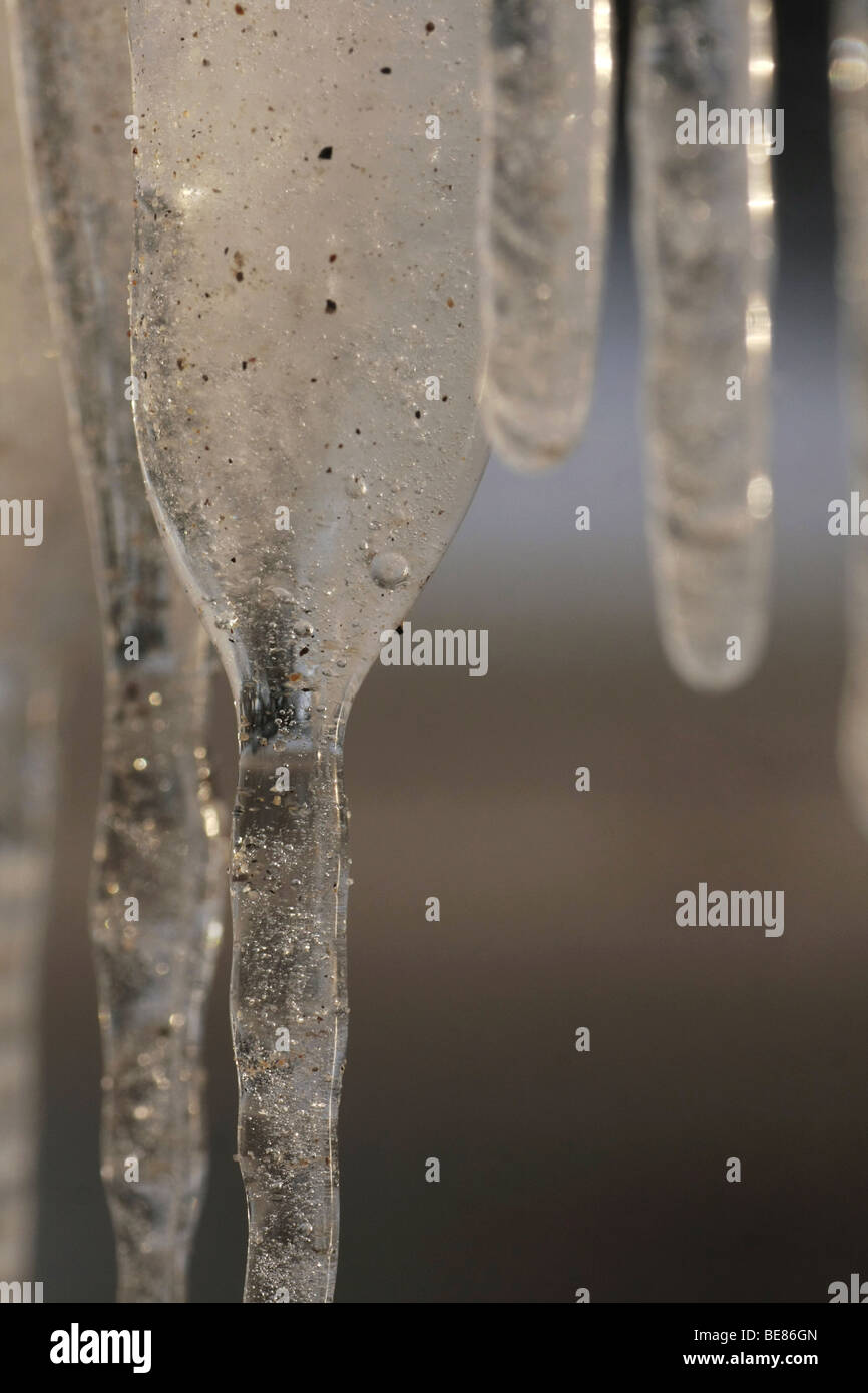 Uiterwaarde waal hi-res stock photography and images - Alamy