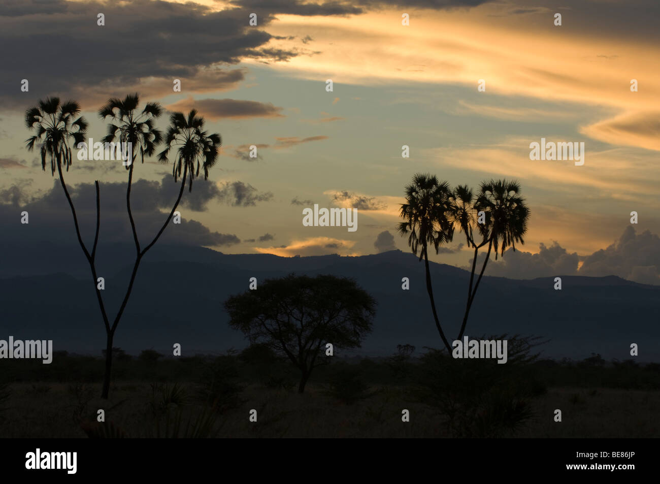 Meru National Park, Kenya Stock Photo - Alamy