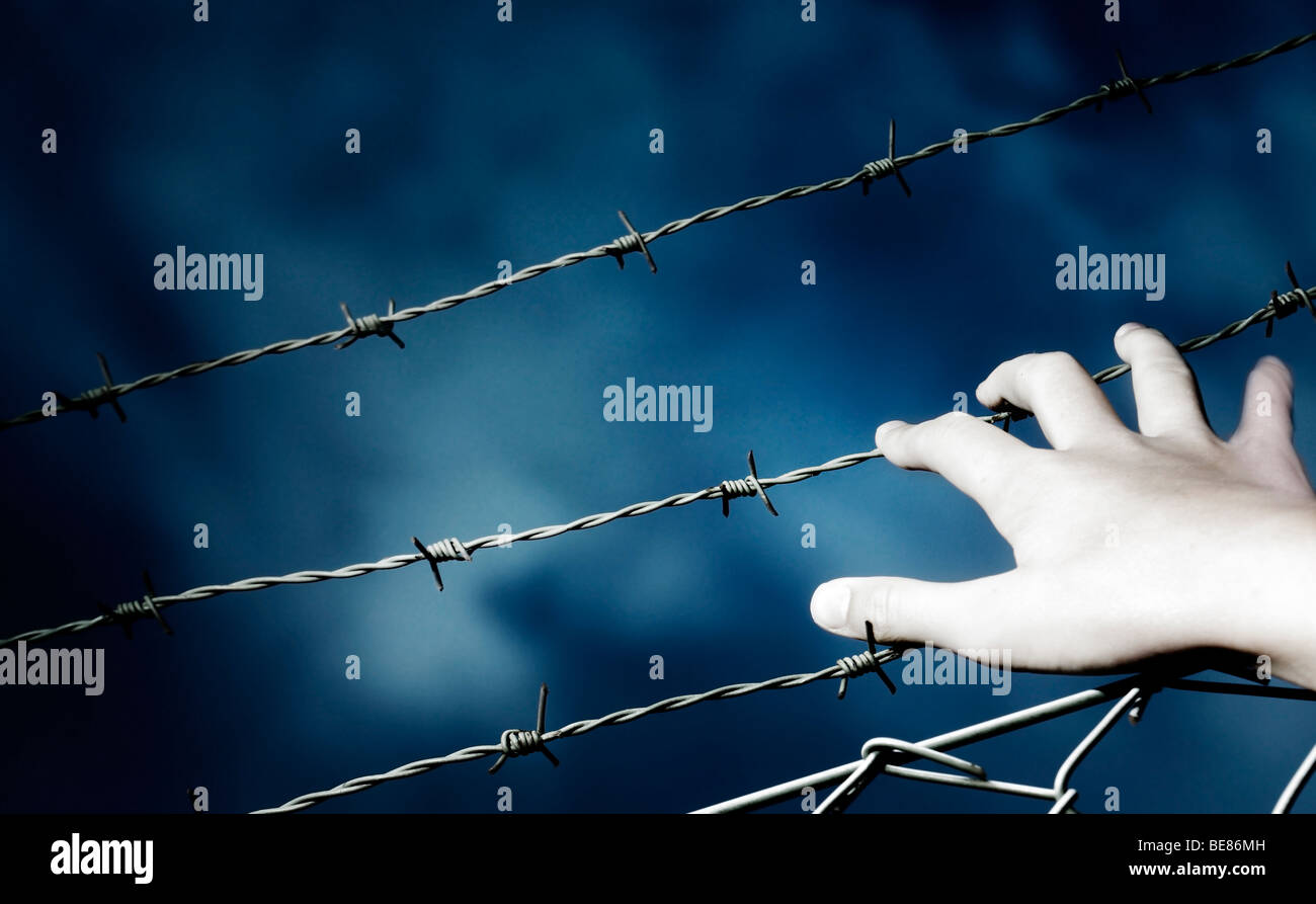 Barbed Wire and a hand Stock Photo - Alamy